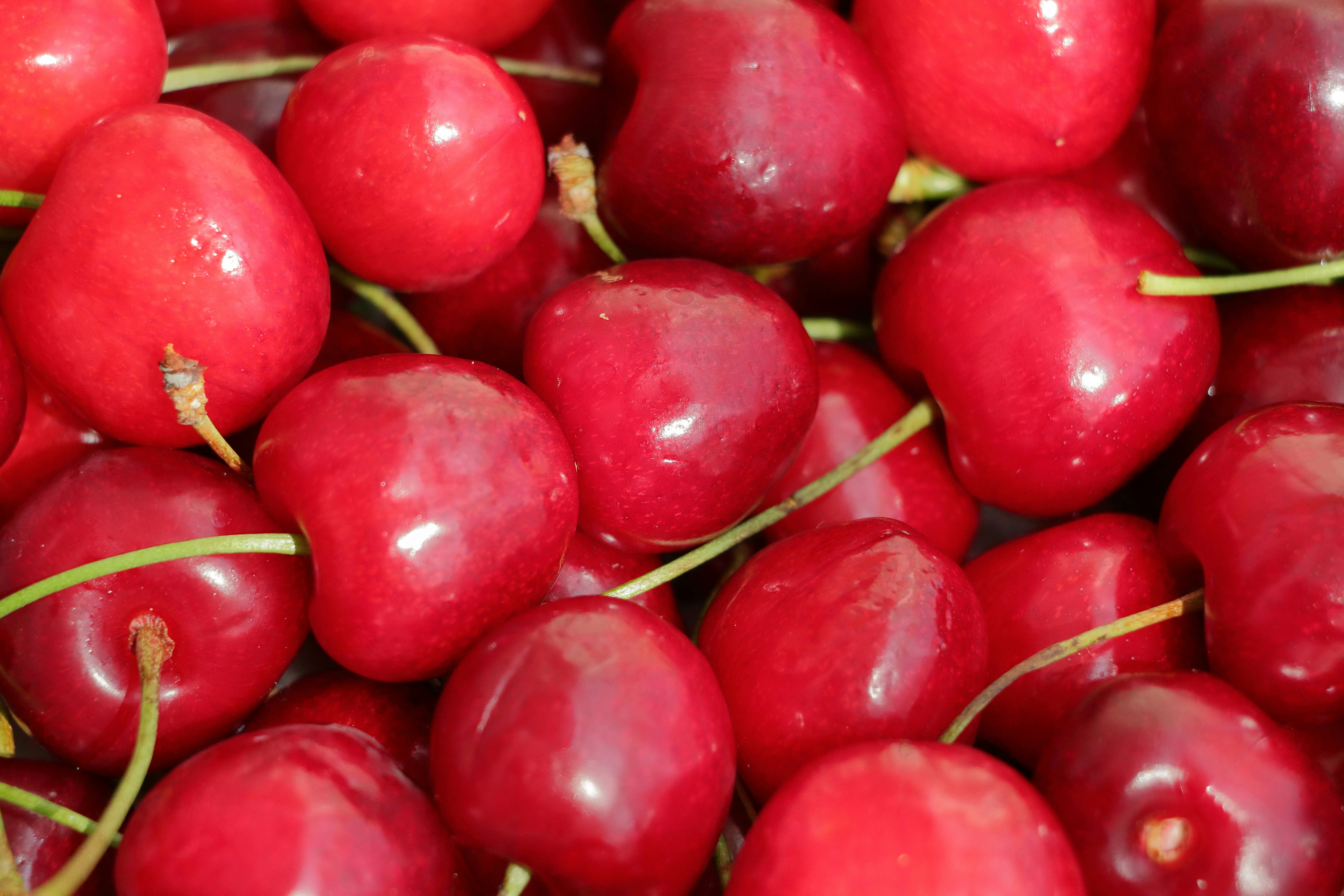Red Cherry Mosaic: Close-Up of Plump, Glossy Berries