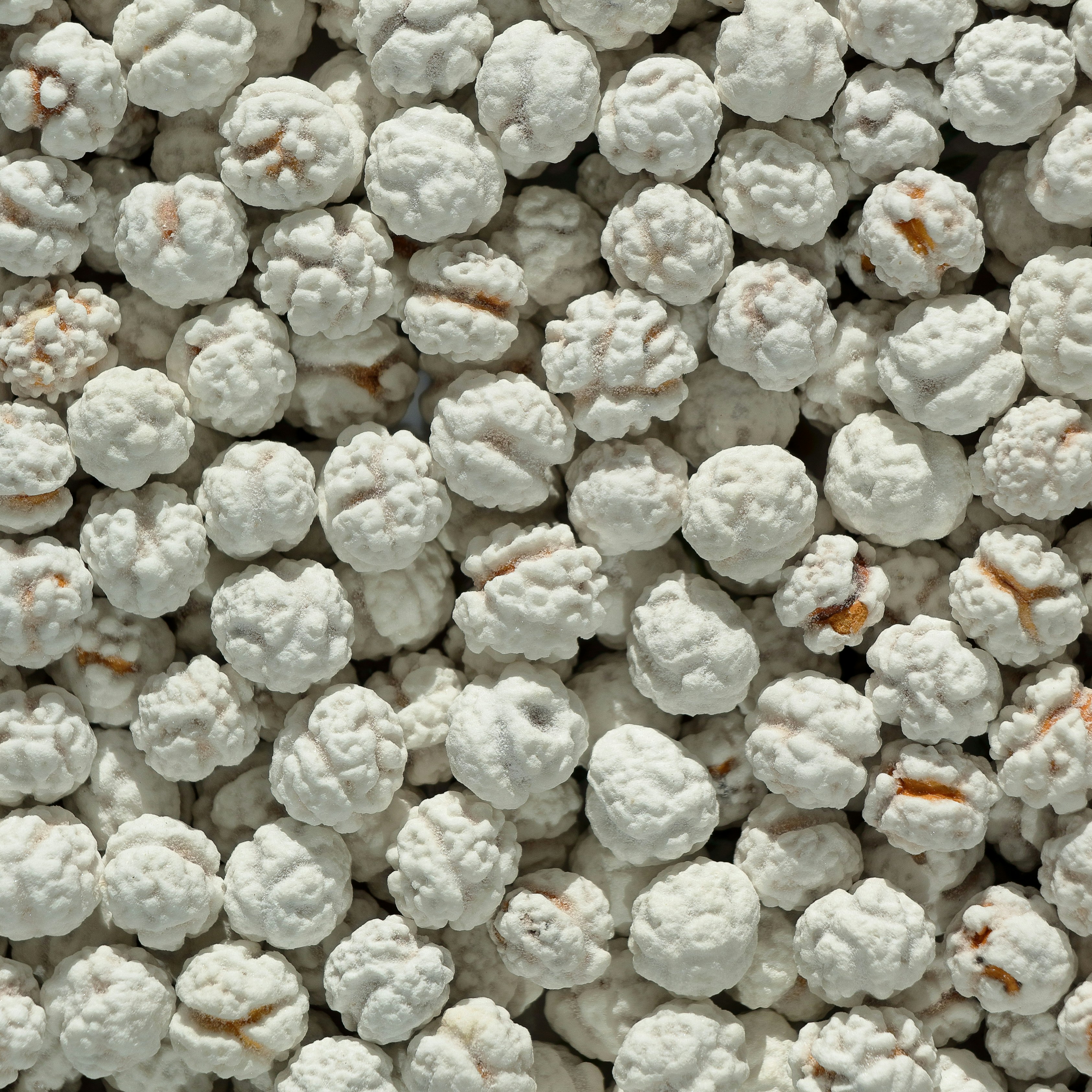 Snowy Cocoa: Close‑up of White Cocoa Nibs in Bulk