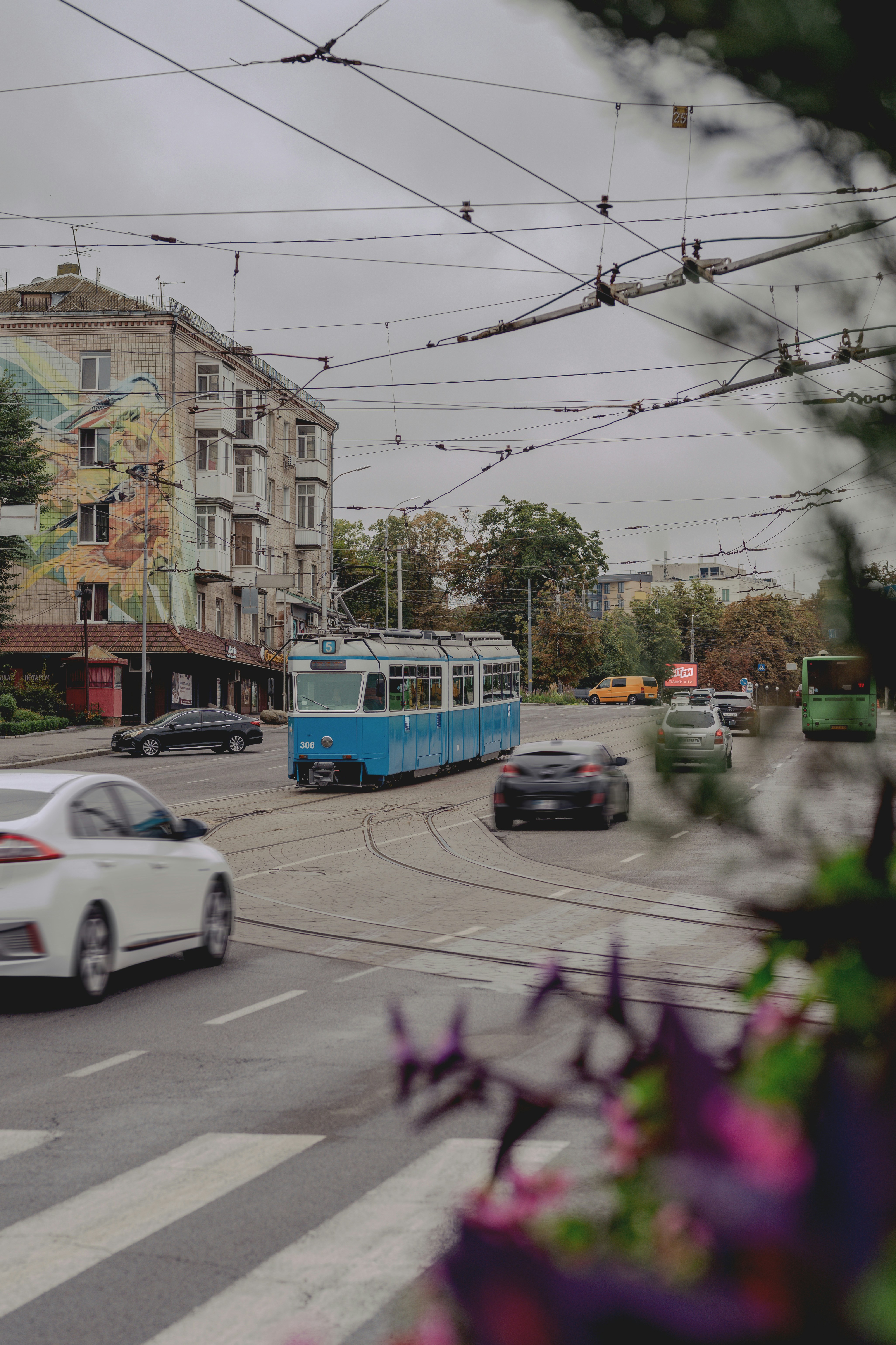 Blue Tram Crossing: City Streets and Overhead Wires