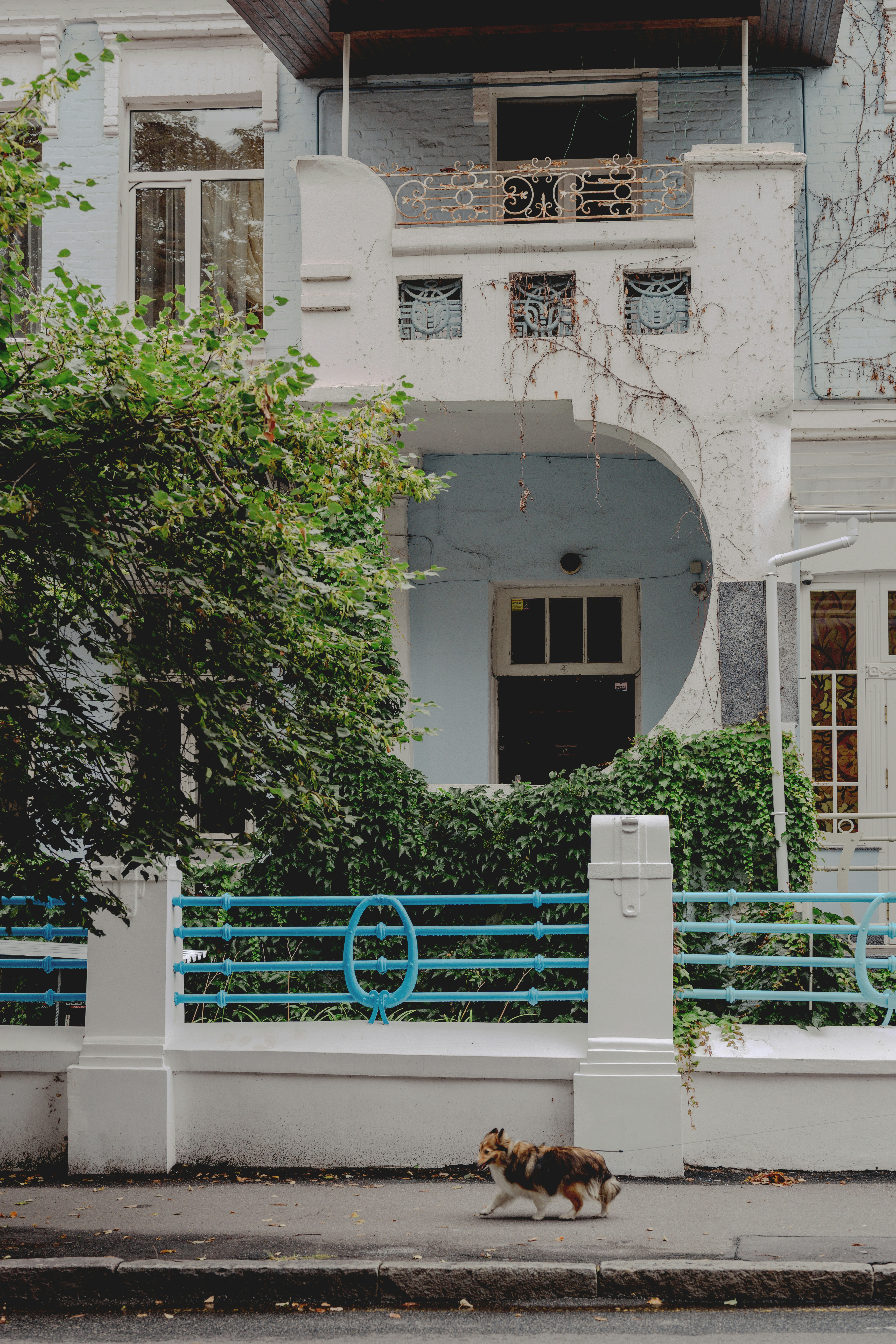 Heritage Streetwalker: A Corgi, A Fern-Softened Corridor, And An Arcaded Facade