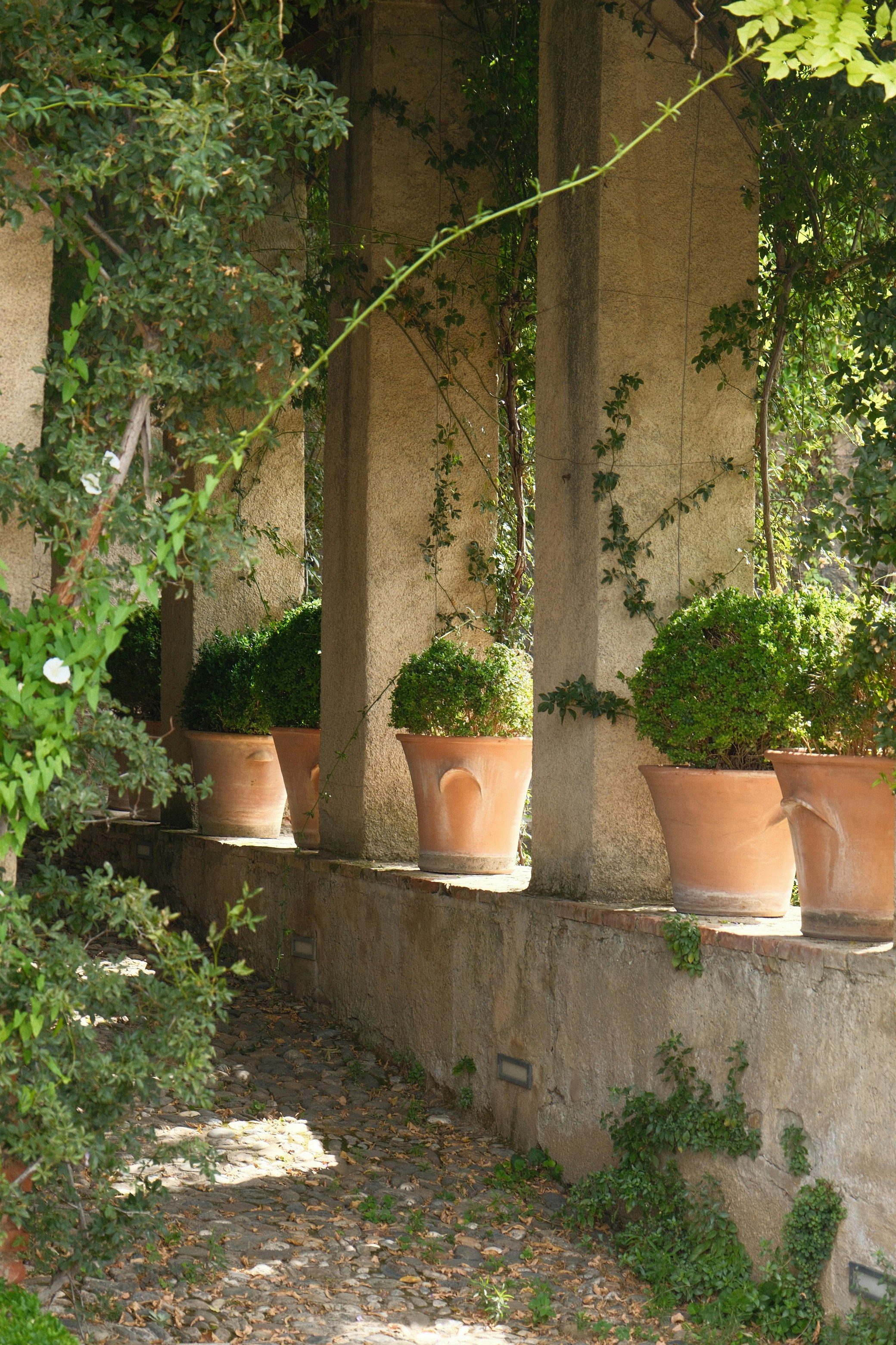 Sunlit Terracotta Planters Along a Shaded Garden Corridor
