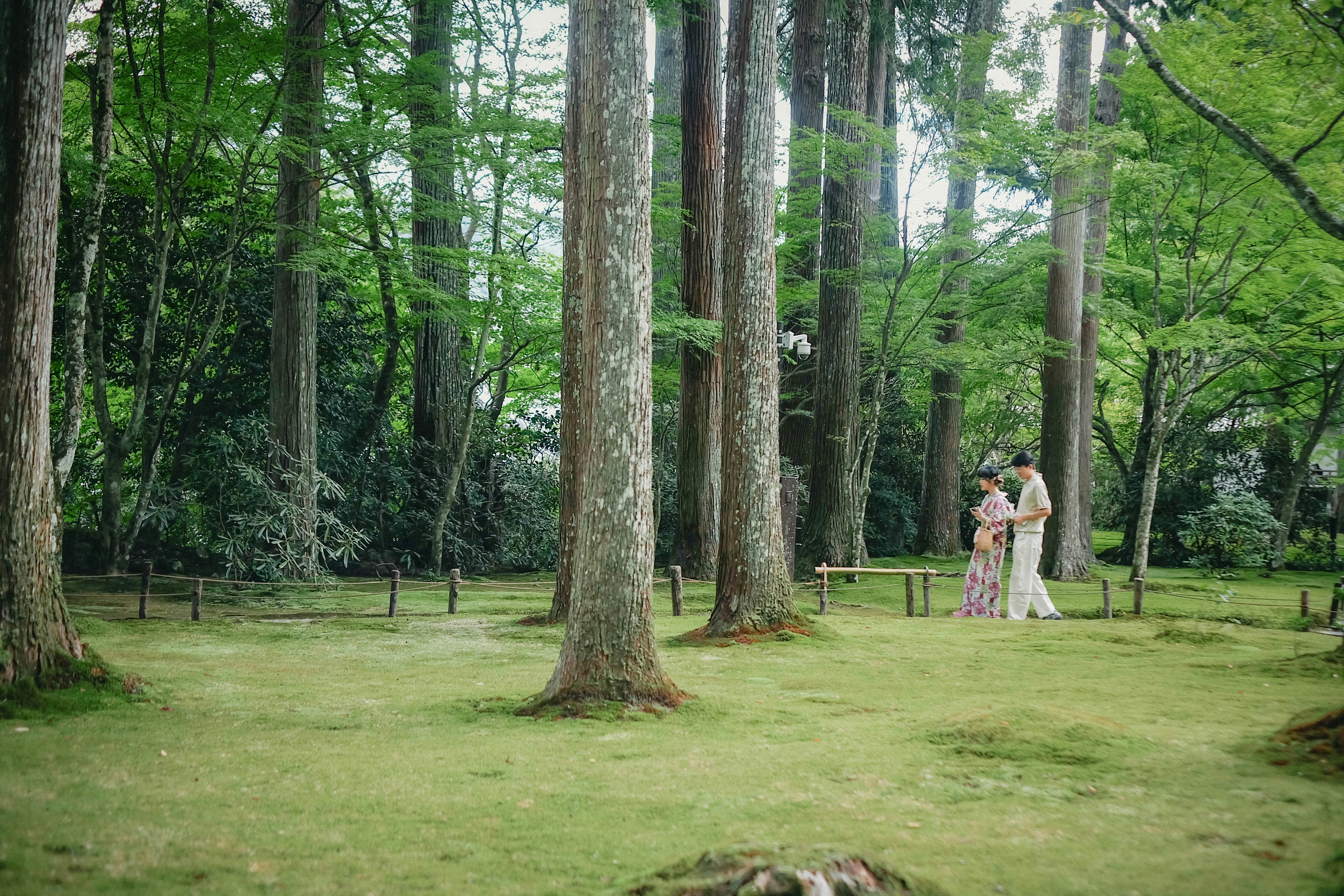 Whispered vows under the forest canopy