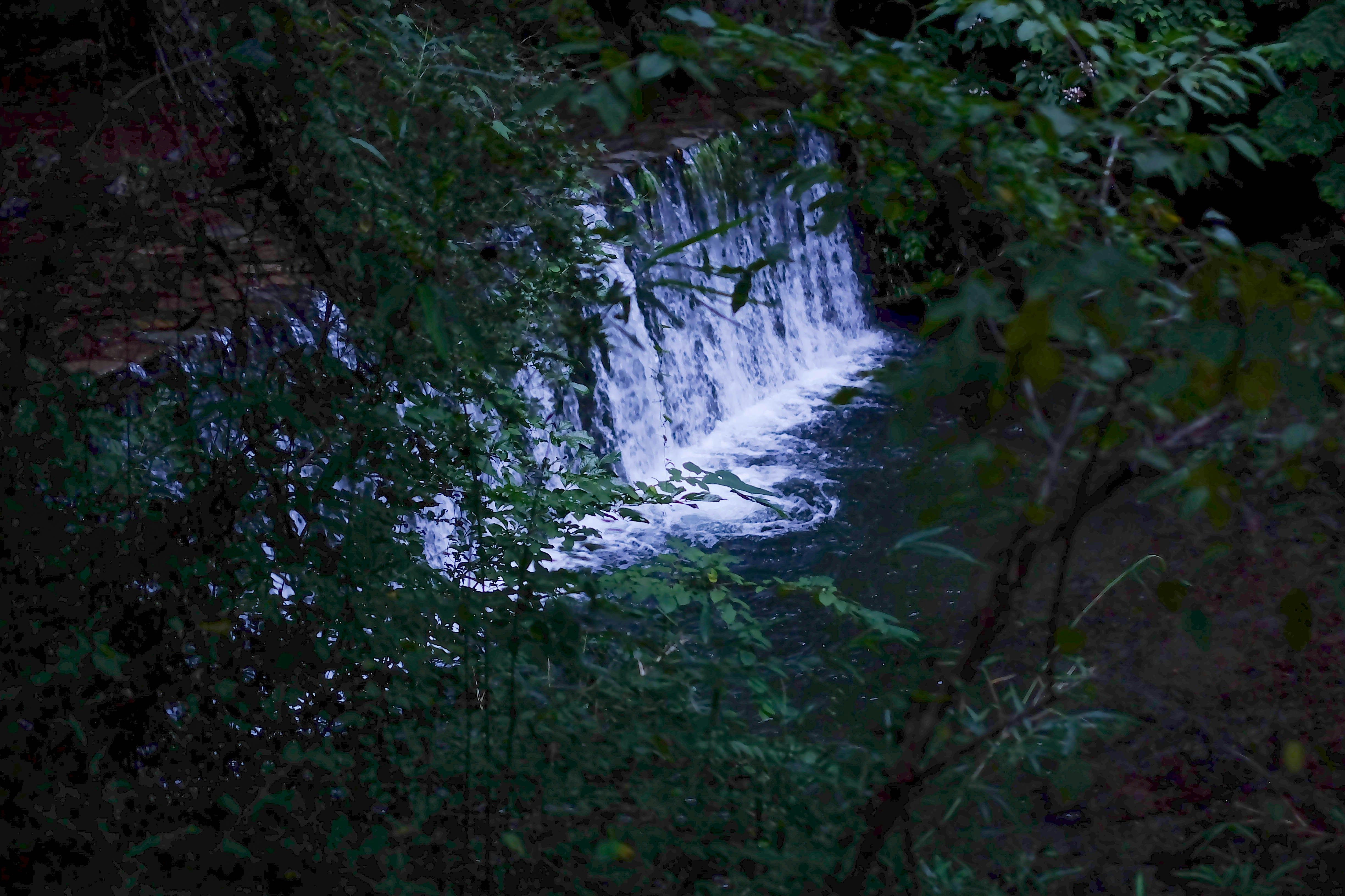 A small waterfall cascading over a stone ledge framed by dark green foliage