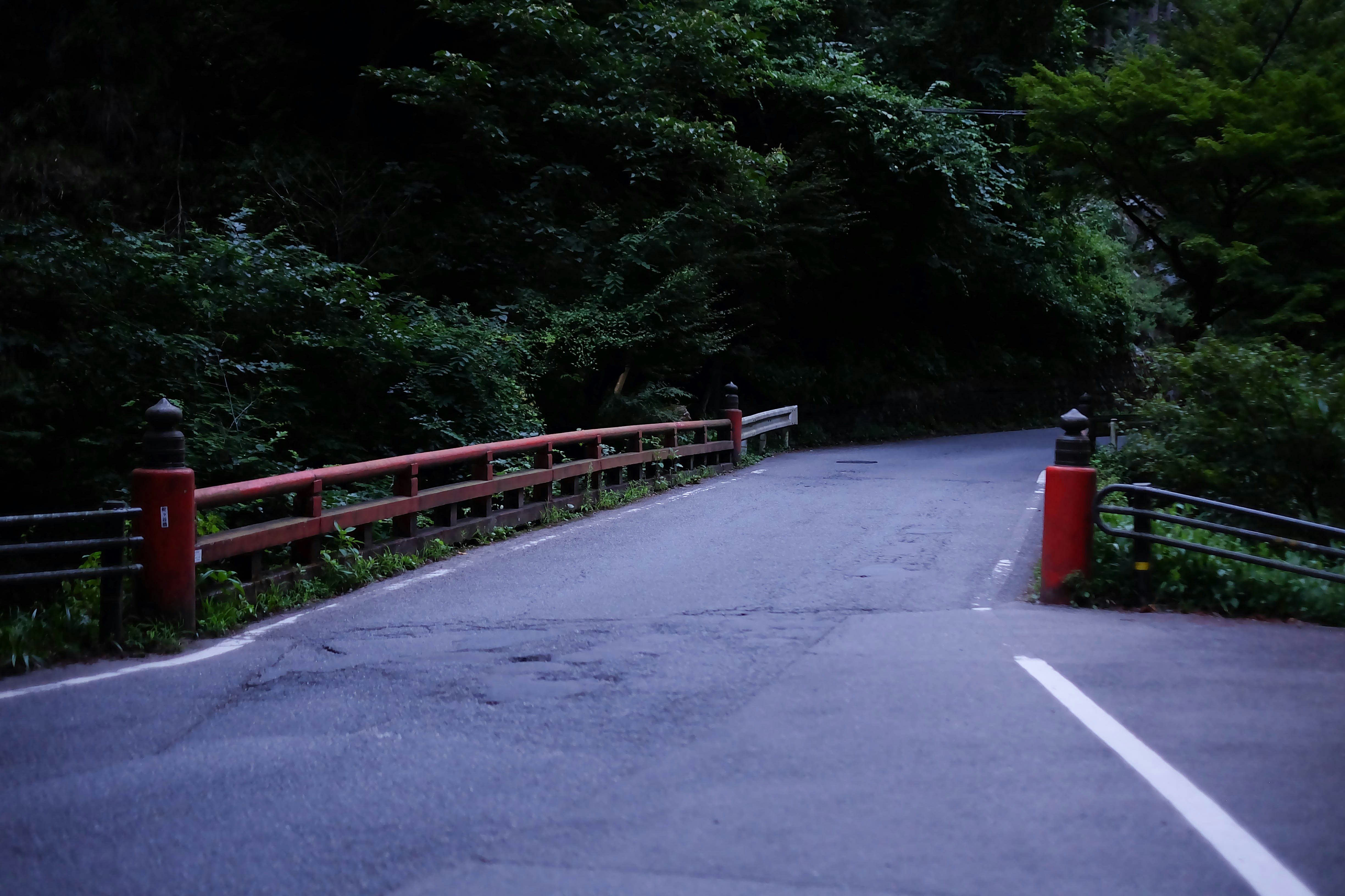 Red Gate on a Quiet Forest Bridge