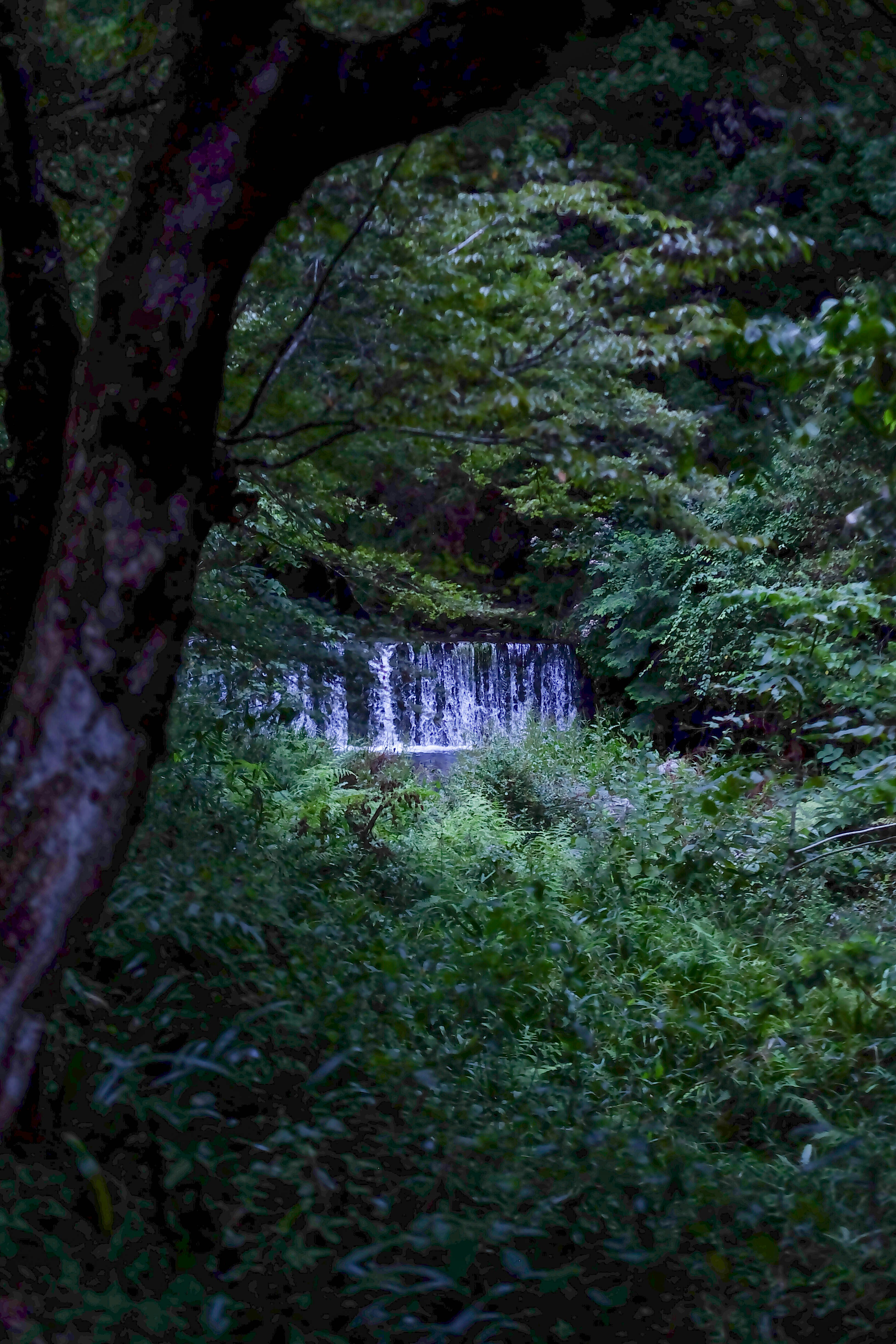 Whispering Cascade Through the Emerald Frame