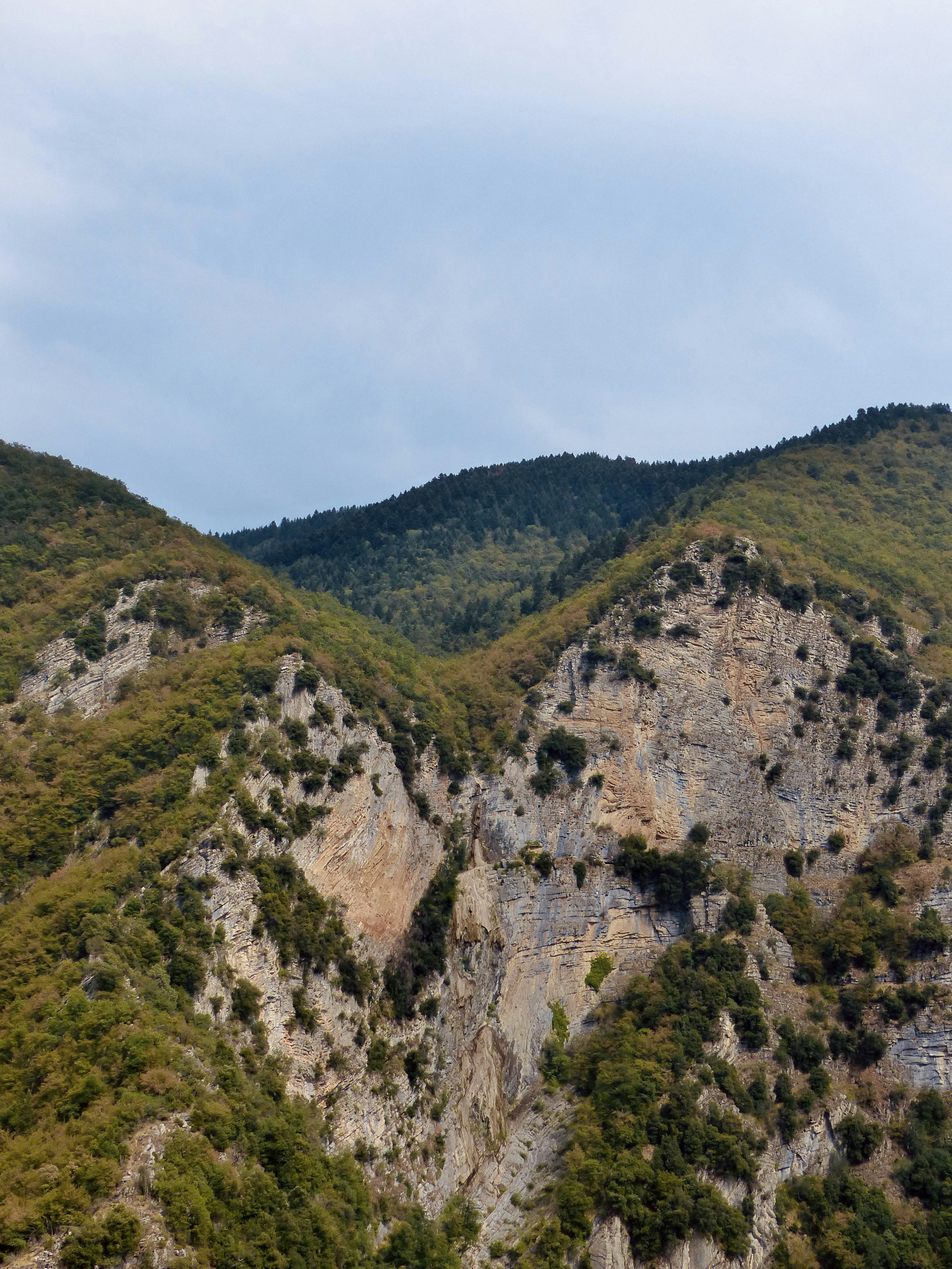 Rugged Clifffall: A Valley of Stone and Pine