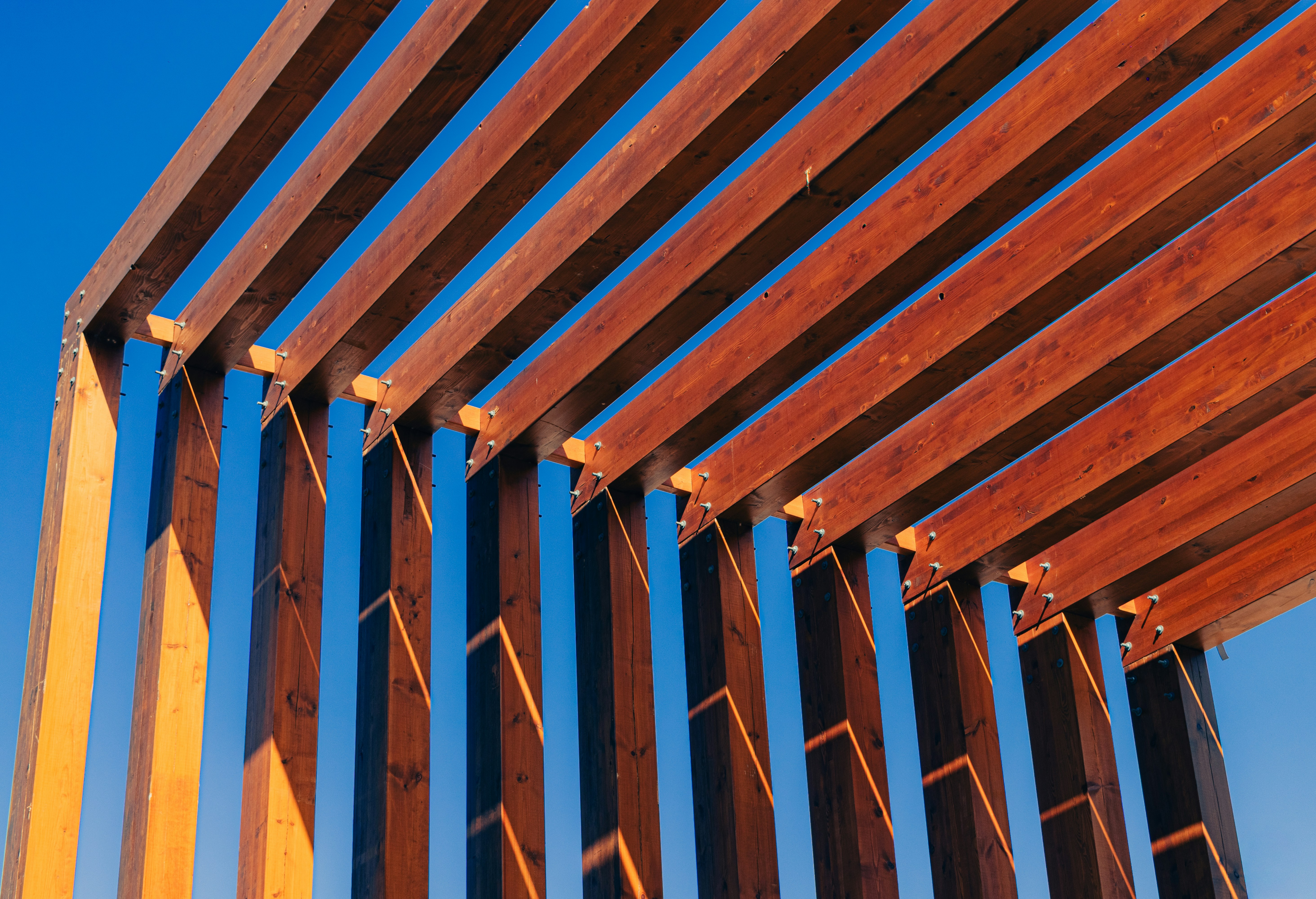 Warm Timber Geometry Against a Clear Sky