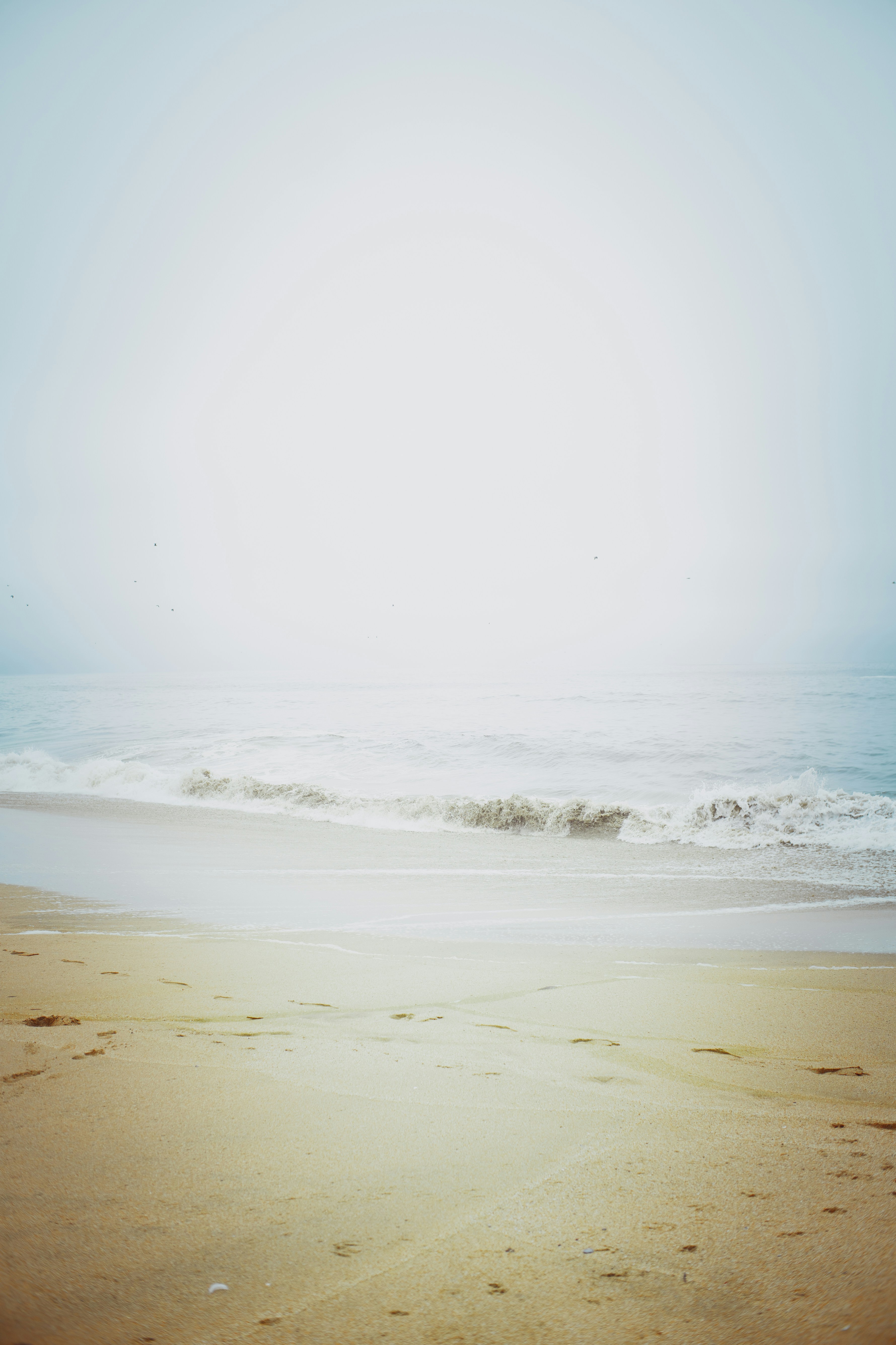 Sunlit Shoreline: A Quiet Dawn Over Gentle Waves