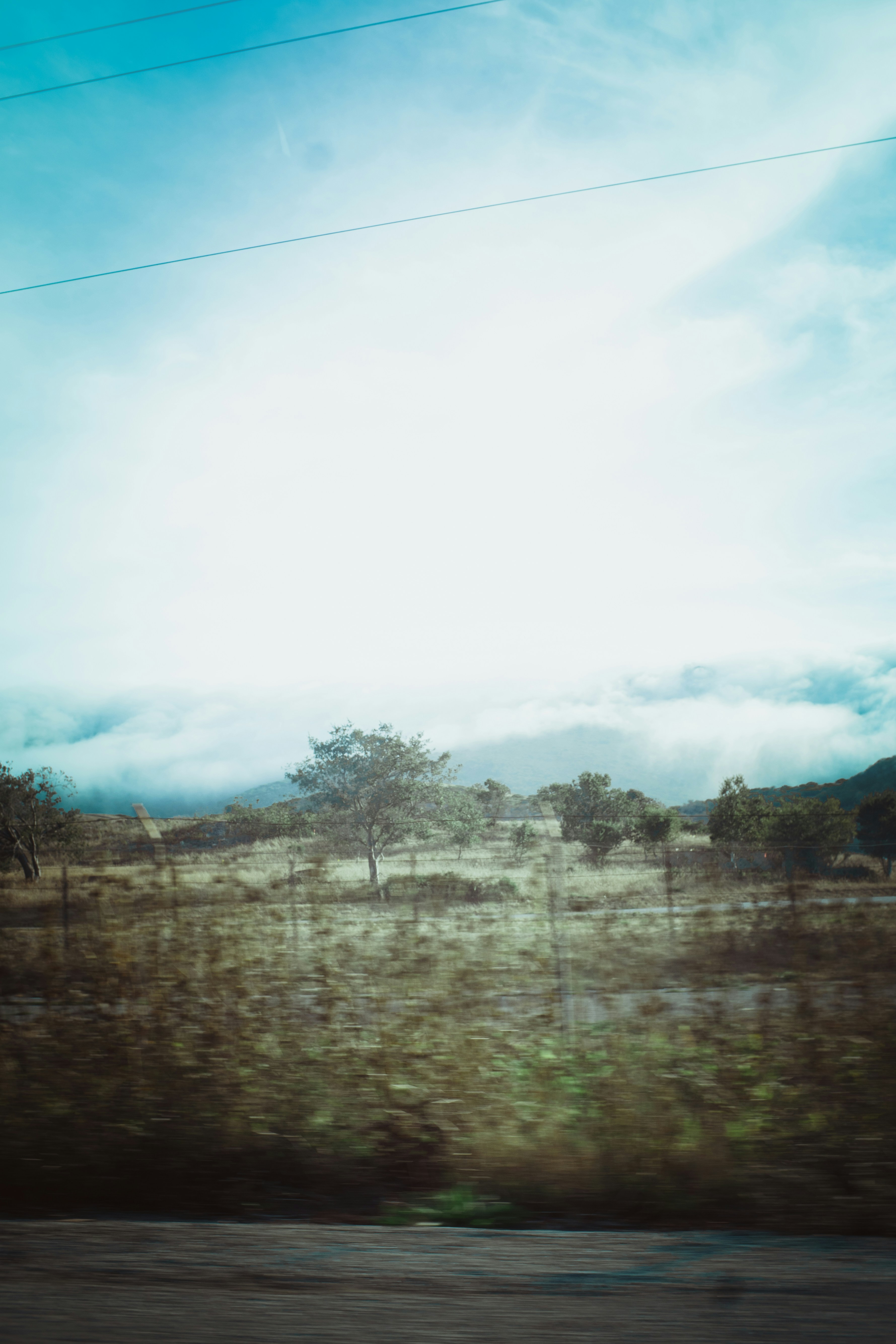 Dusty Plains Under Broad Sky