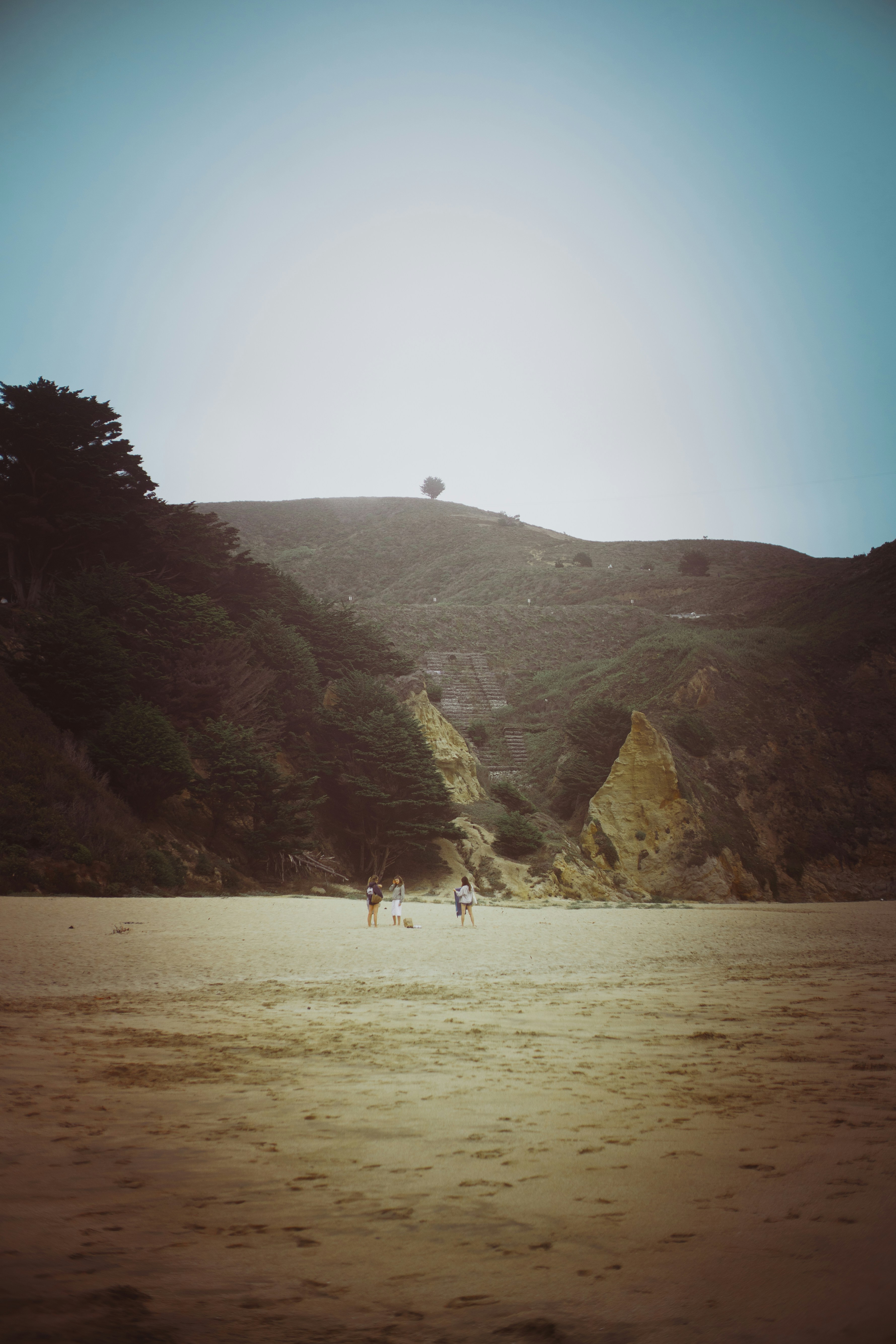 Distant Lone Tree Over the Hill: Quiet Beach Portrait