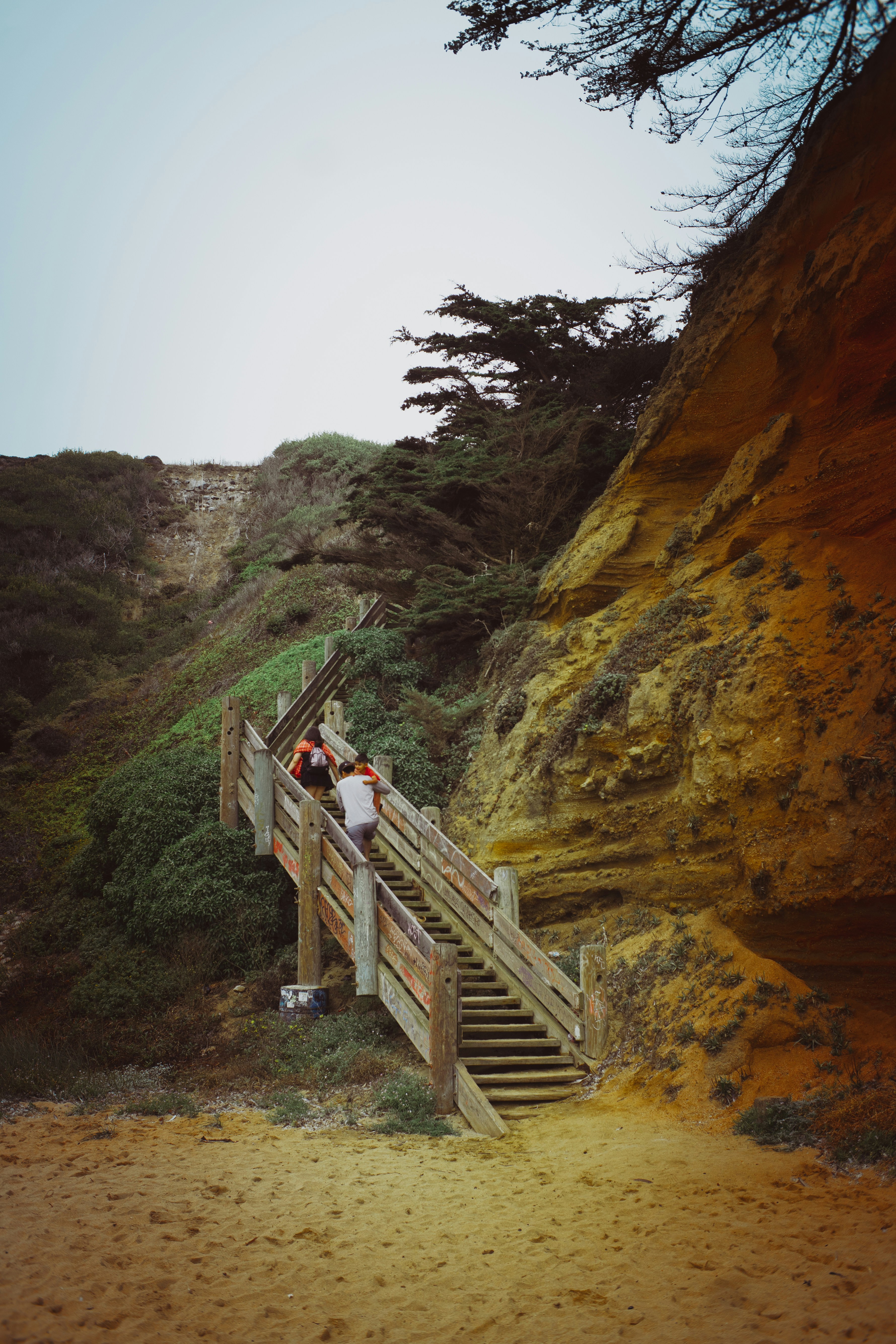Stairway to the Cliffs: Visitors Trek a Coastal Ascent