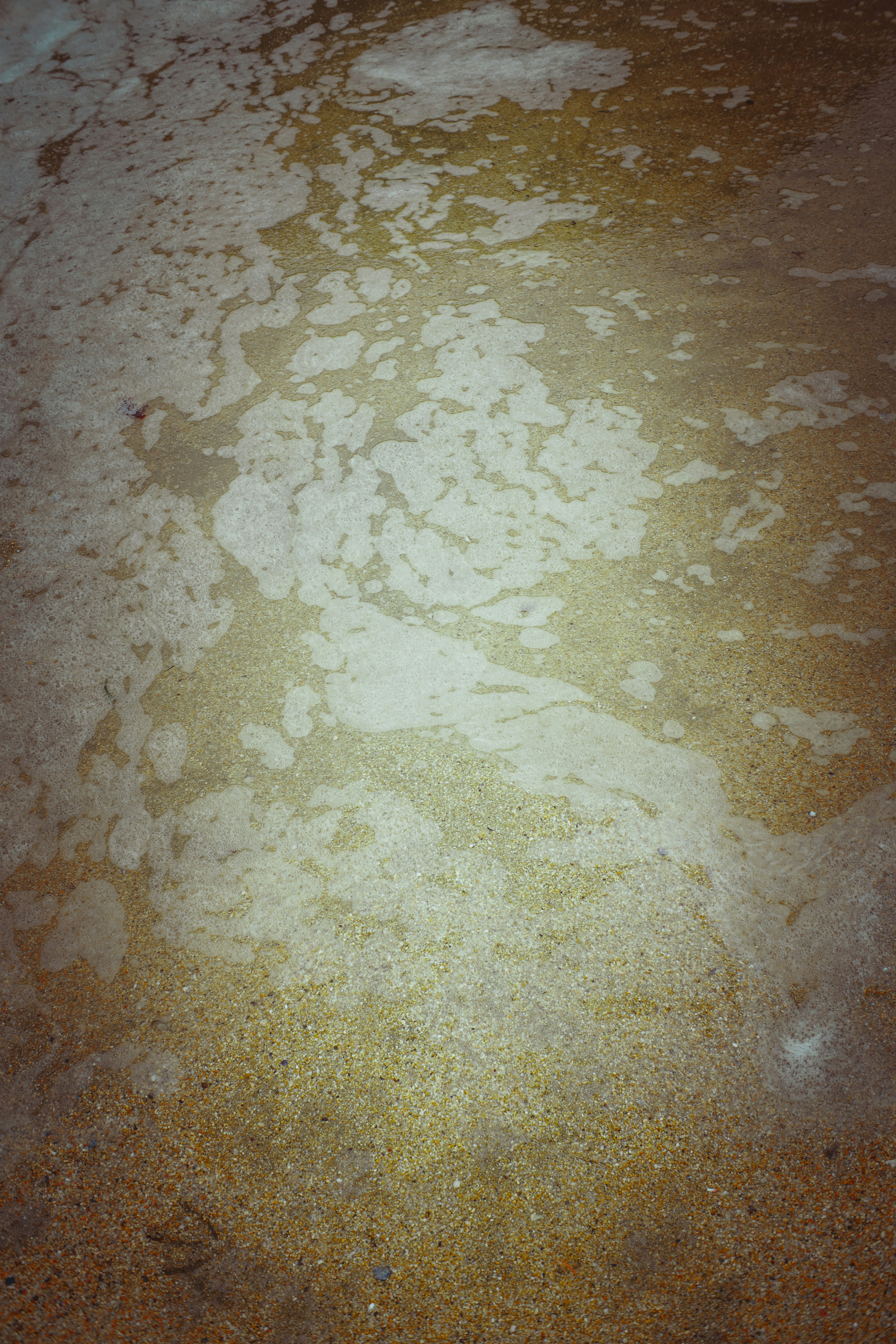 Dusty shoreline textures melt into pale foam rhythms