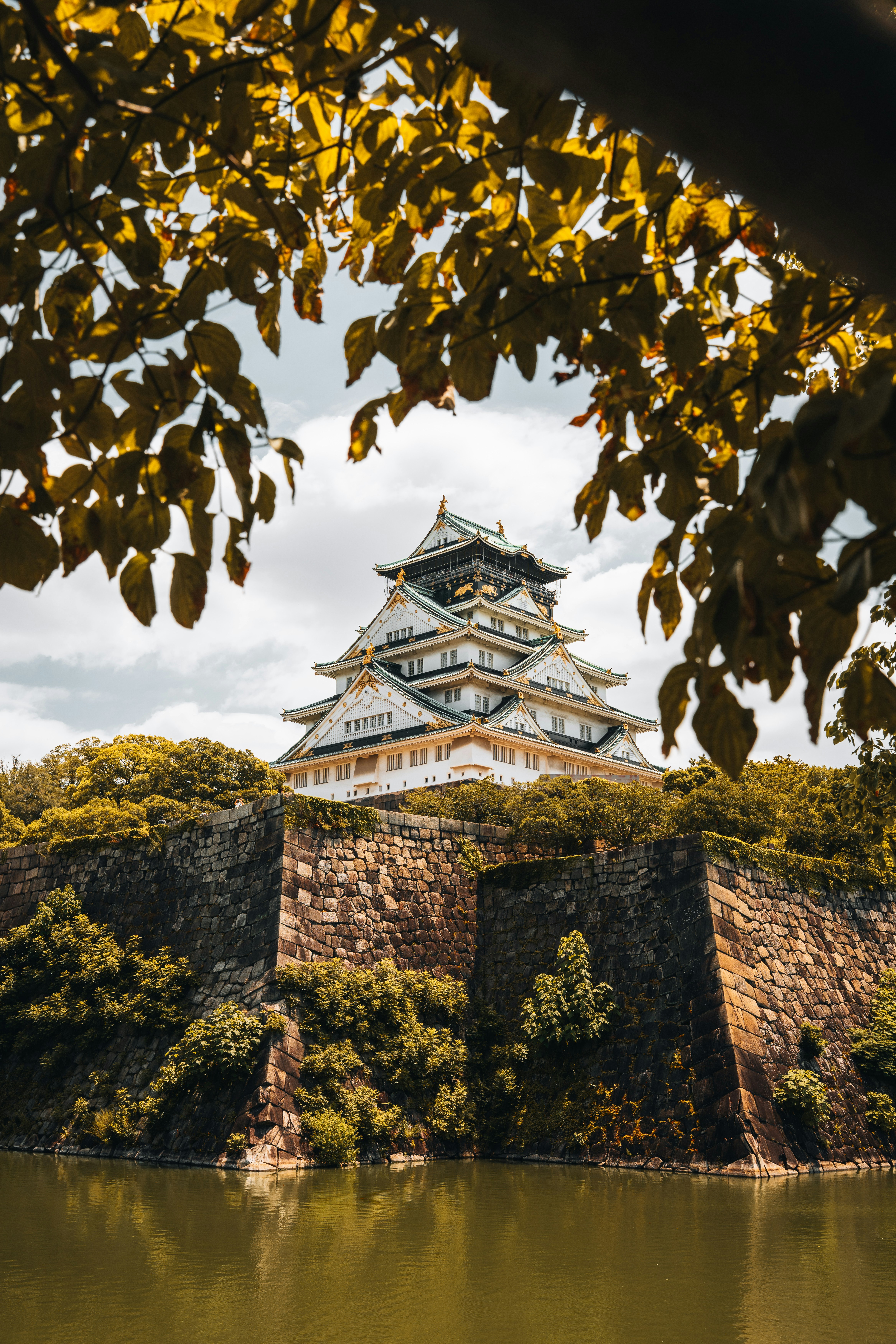 Castle in Quiet Light: A Framed Moment Beneath Autumn Foliage