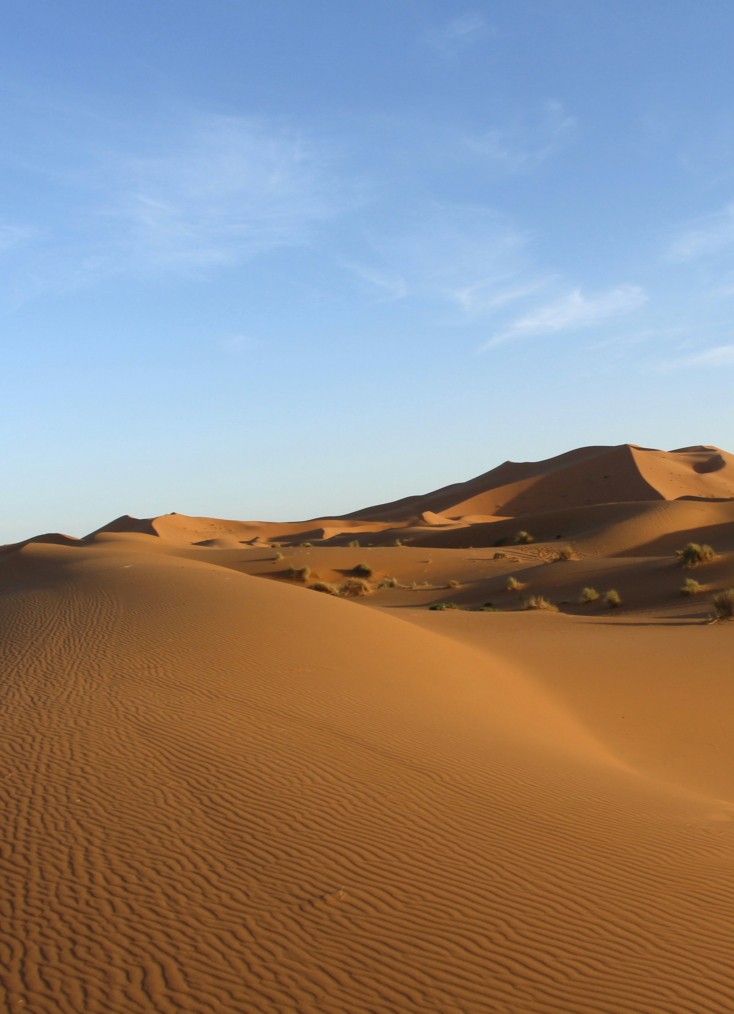 Golden desert dunes roll under a bright blue sky, with wind-sculpted ripples and sparse vegetation dotting the scene.