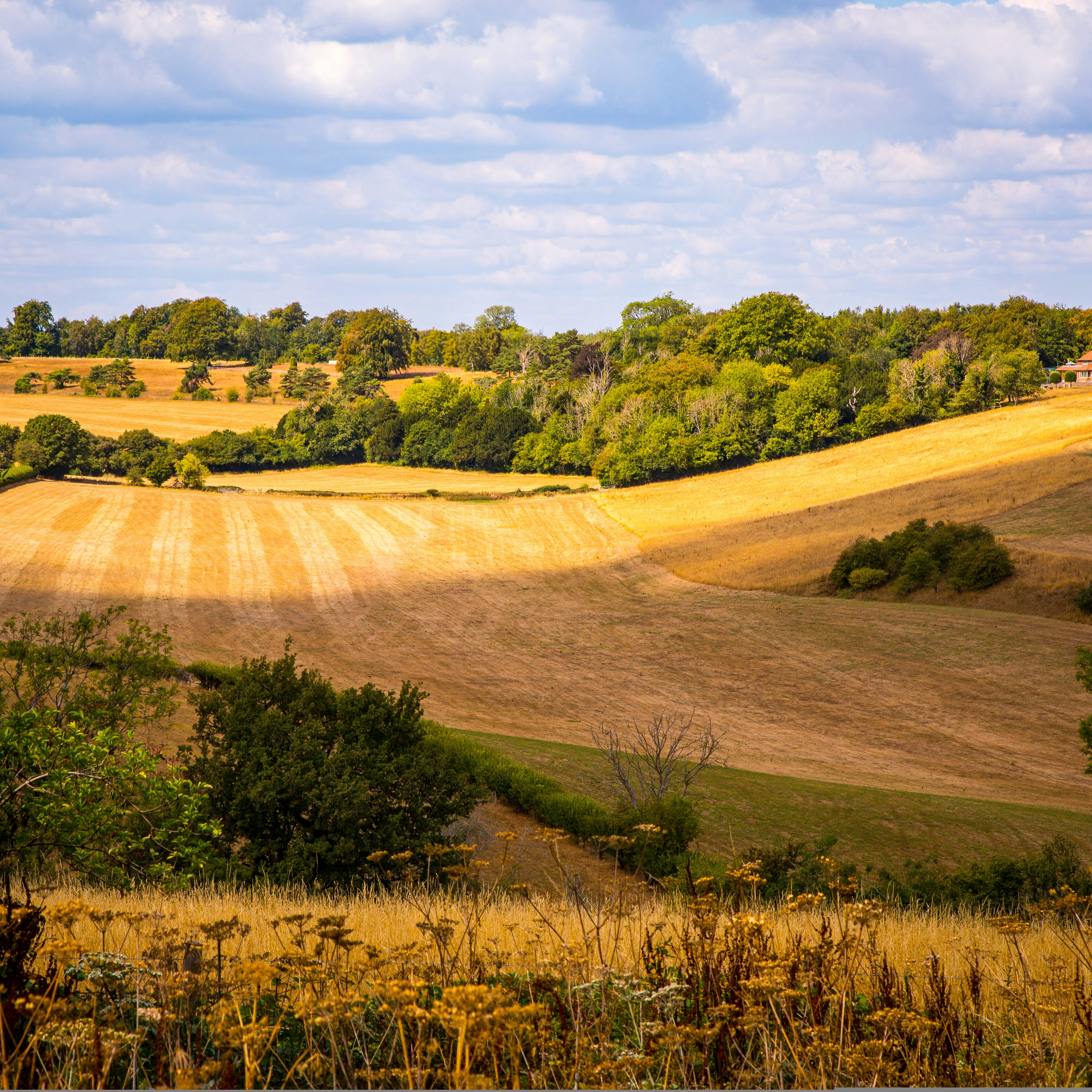 Golden Hills and Quiet Lanes under a Wide Sky