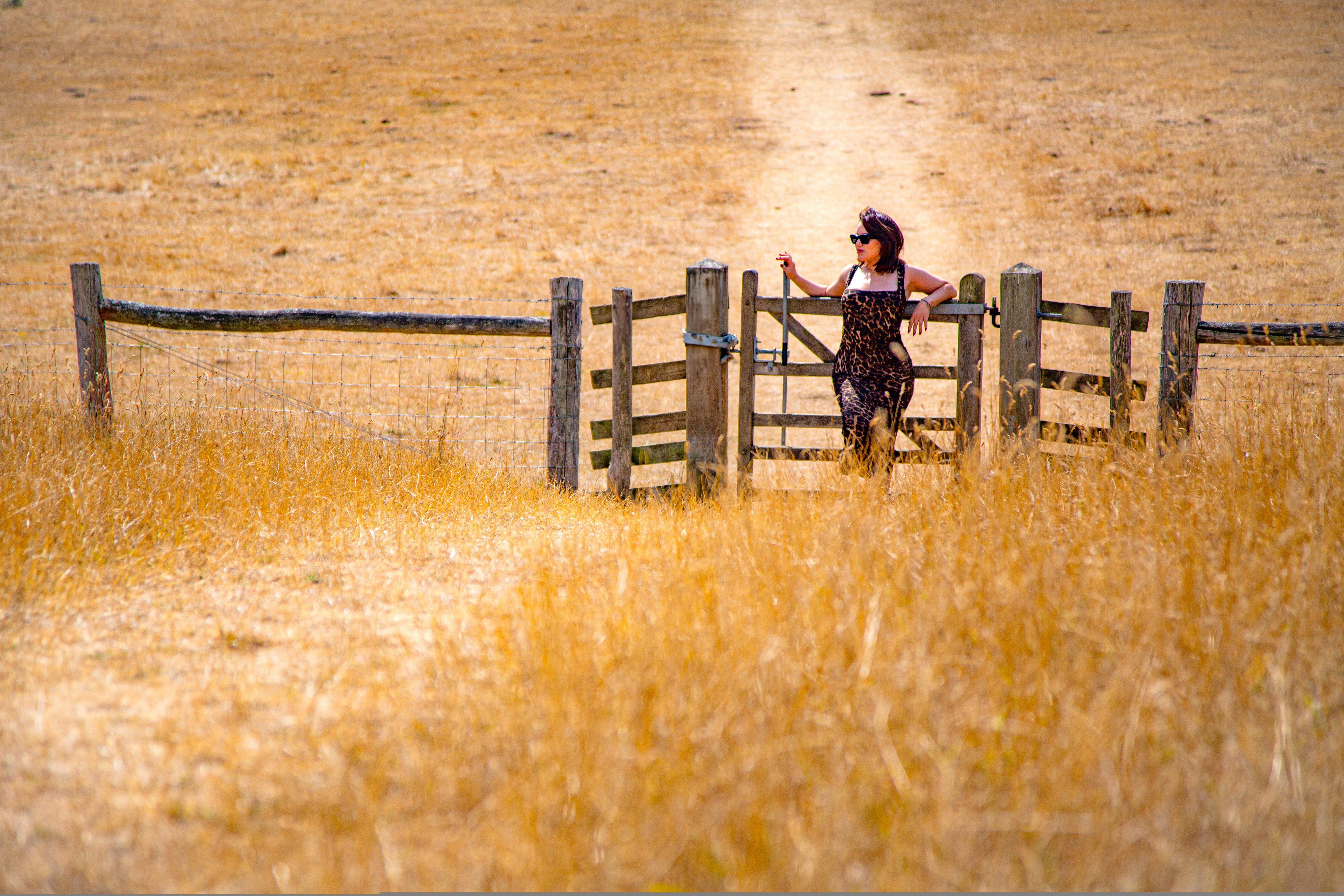 Gateway in the Golden Field: A lone figure by the fence