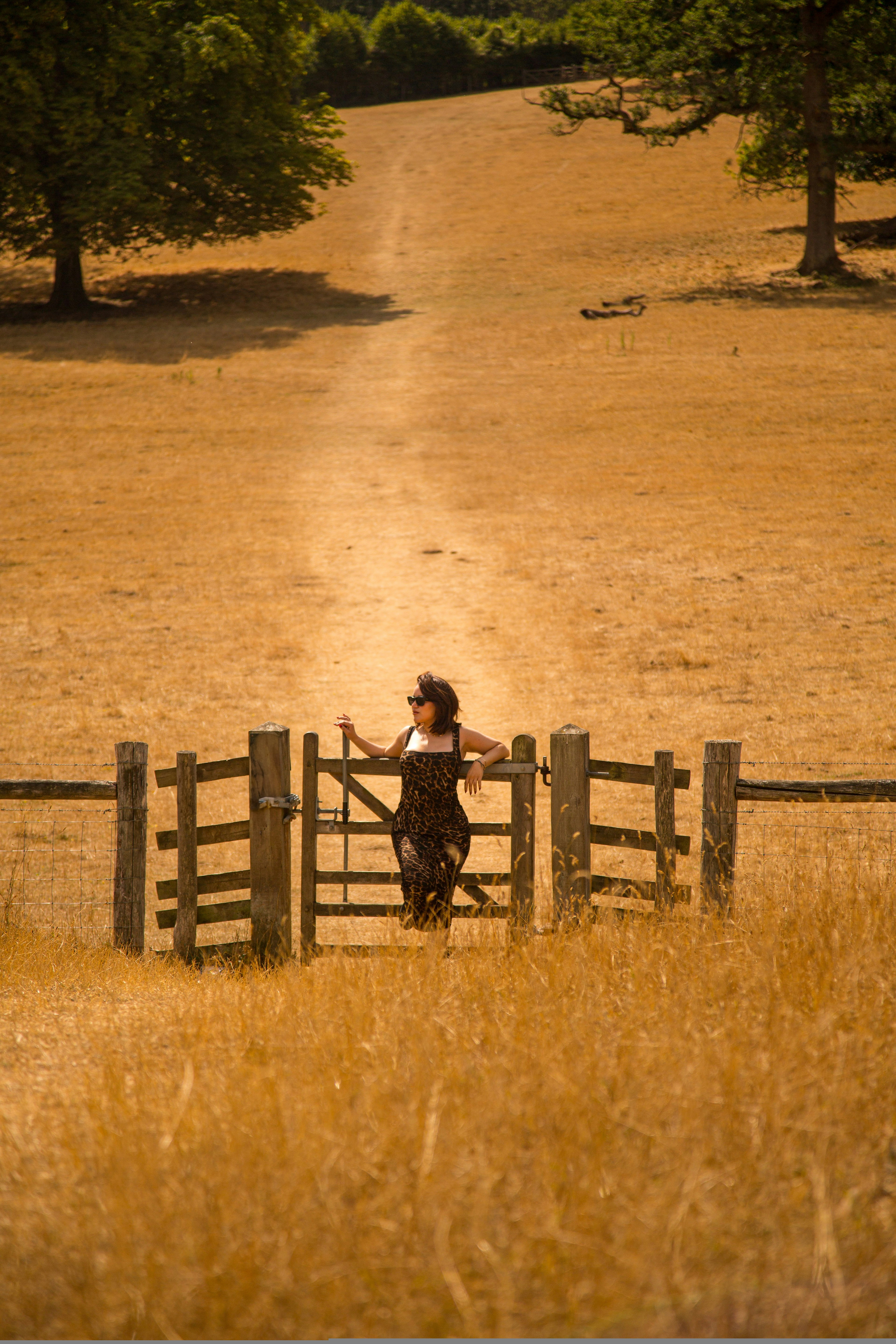 Woman on a Wooden Gate in a Golden Field