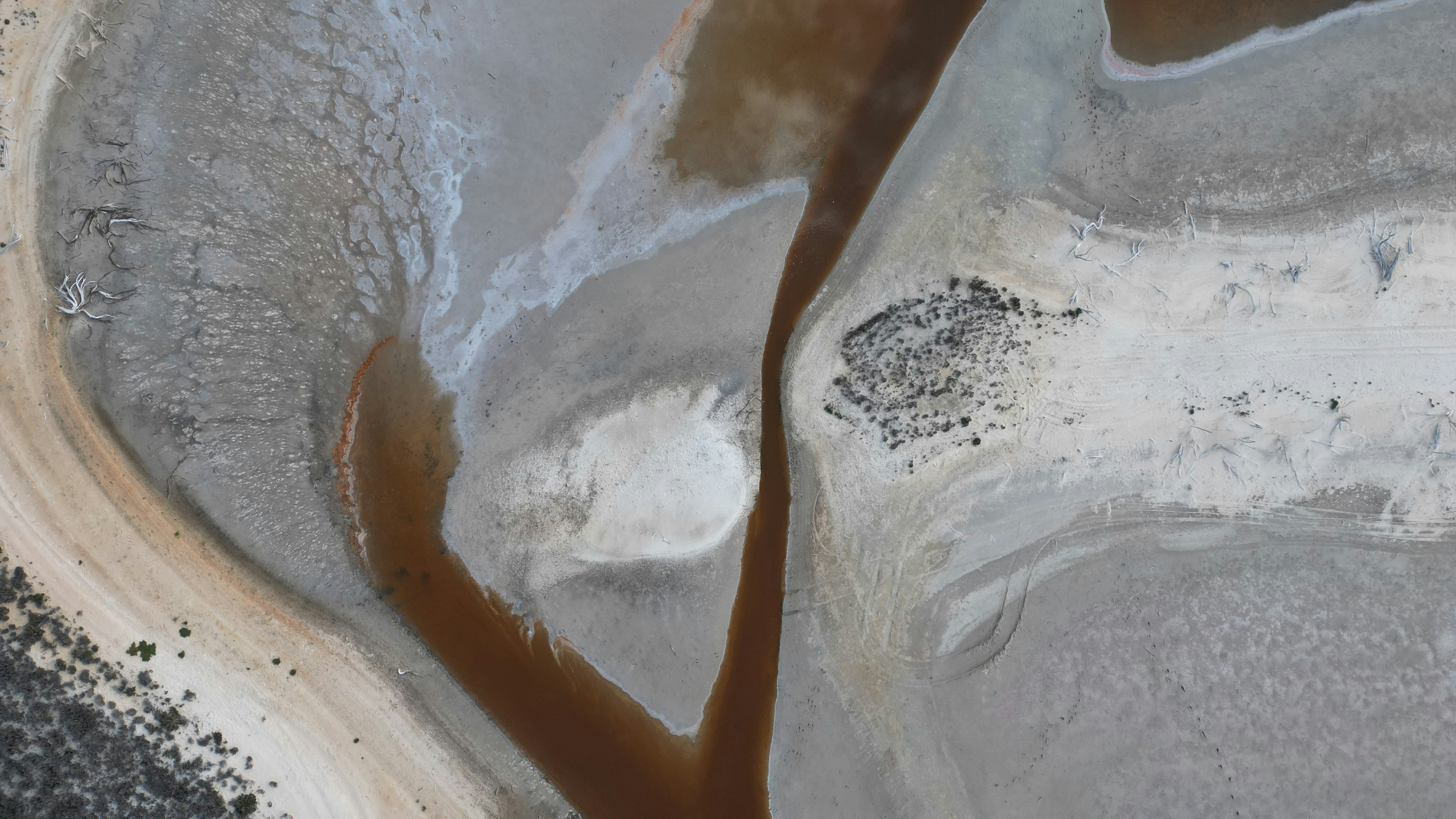 Desert riverbed carving a winding bronze ribbon through pale shores