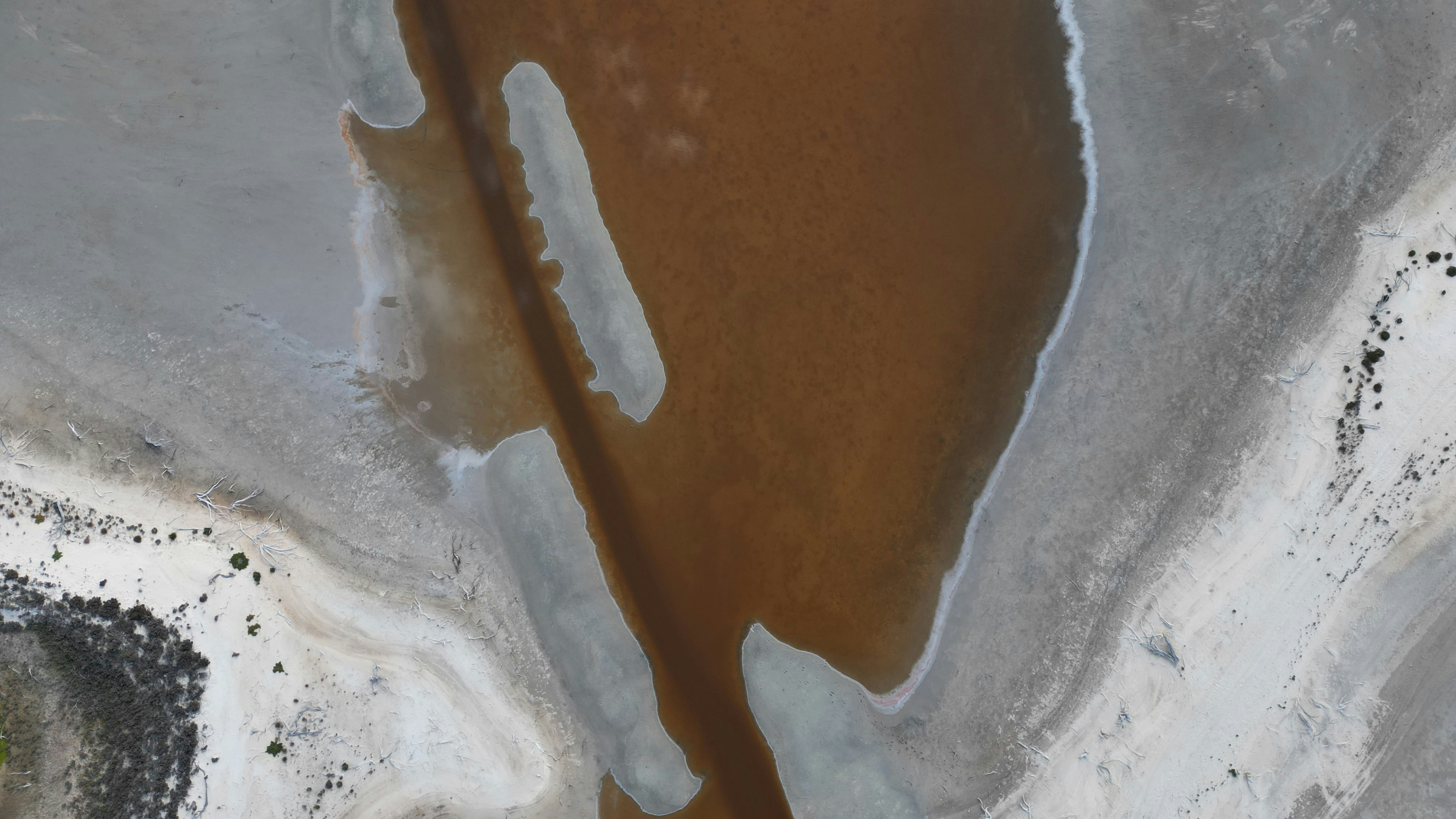 River of Earth: Aerial Veins Across a Desolate Landscape