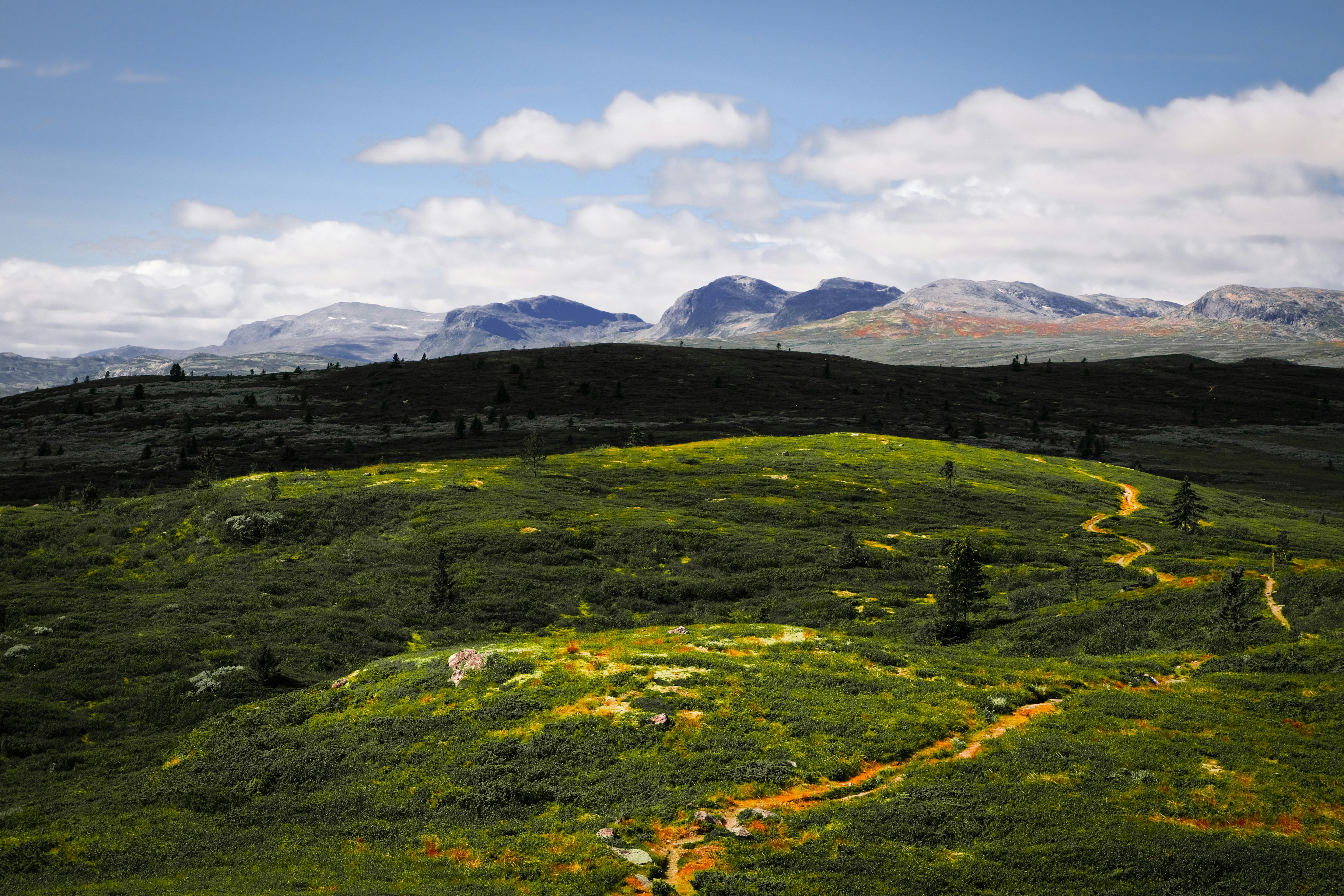 Trail Through a Lush Hillscape Beneath Blue-White Sky