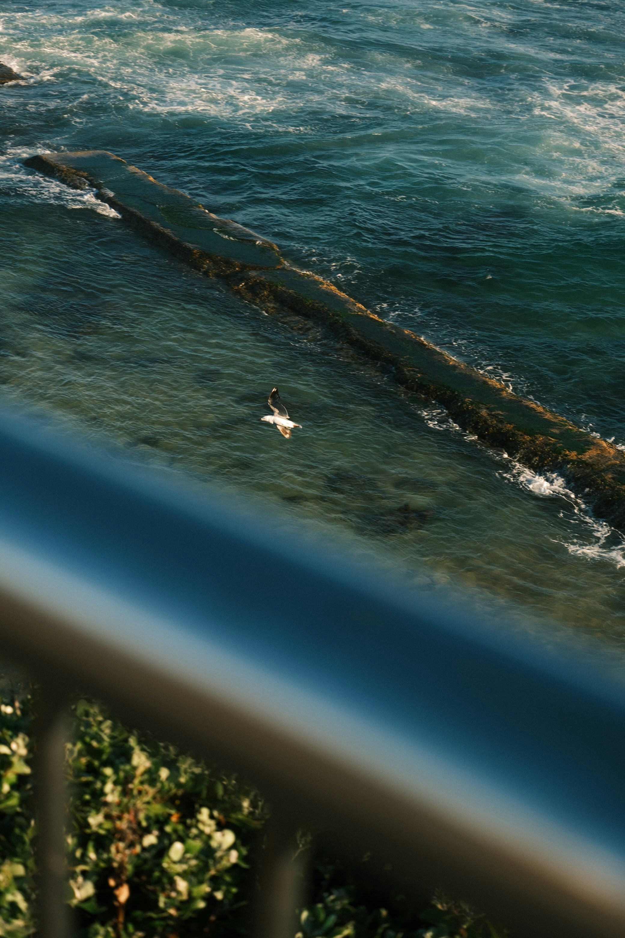 Solo Surfer glides along a sunlit breakwater from a cliffside overlook