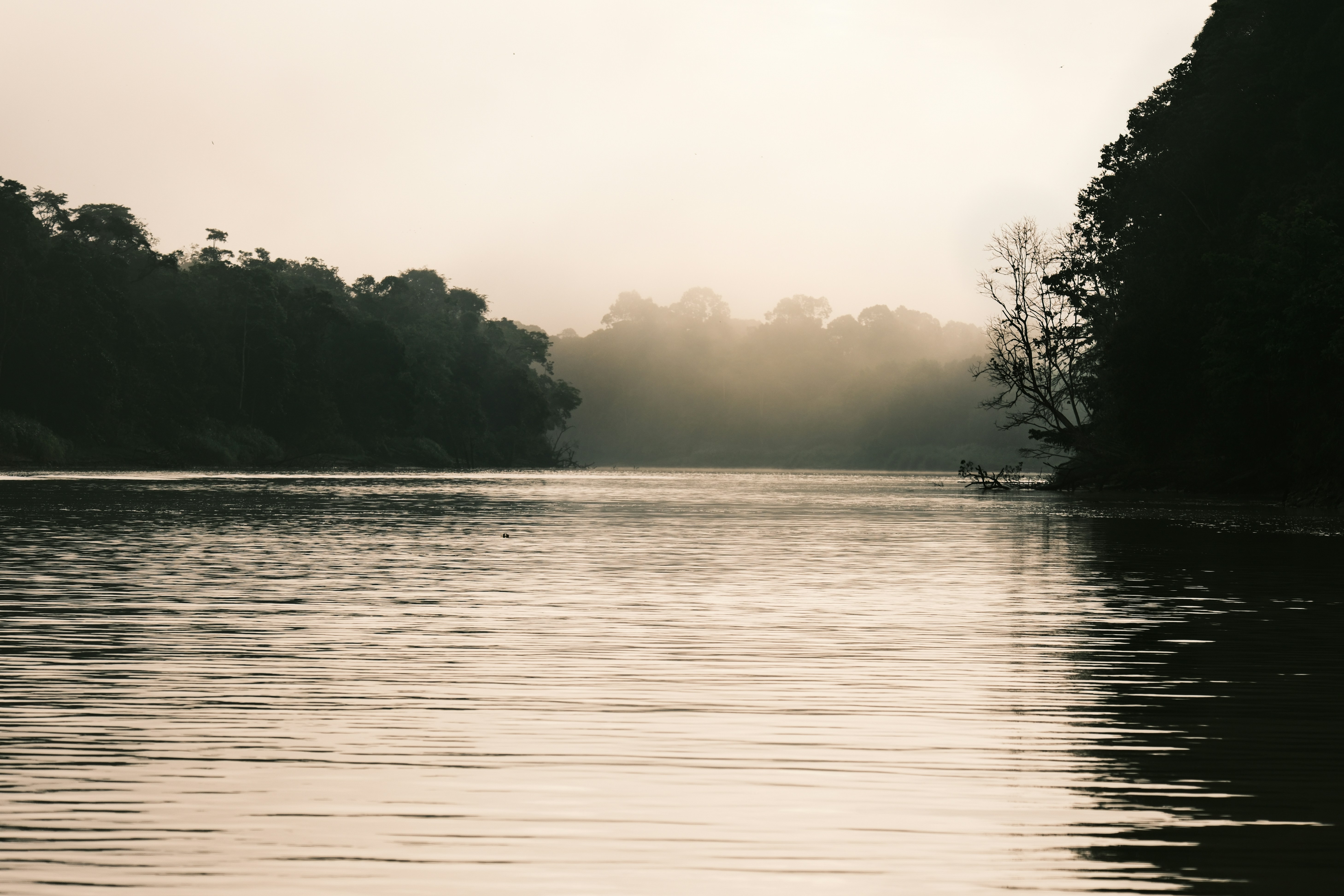 Morning Quiet over a Misty Lake