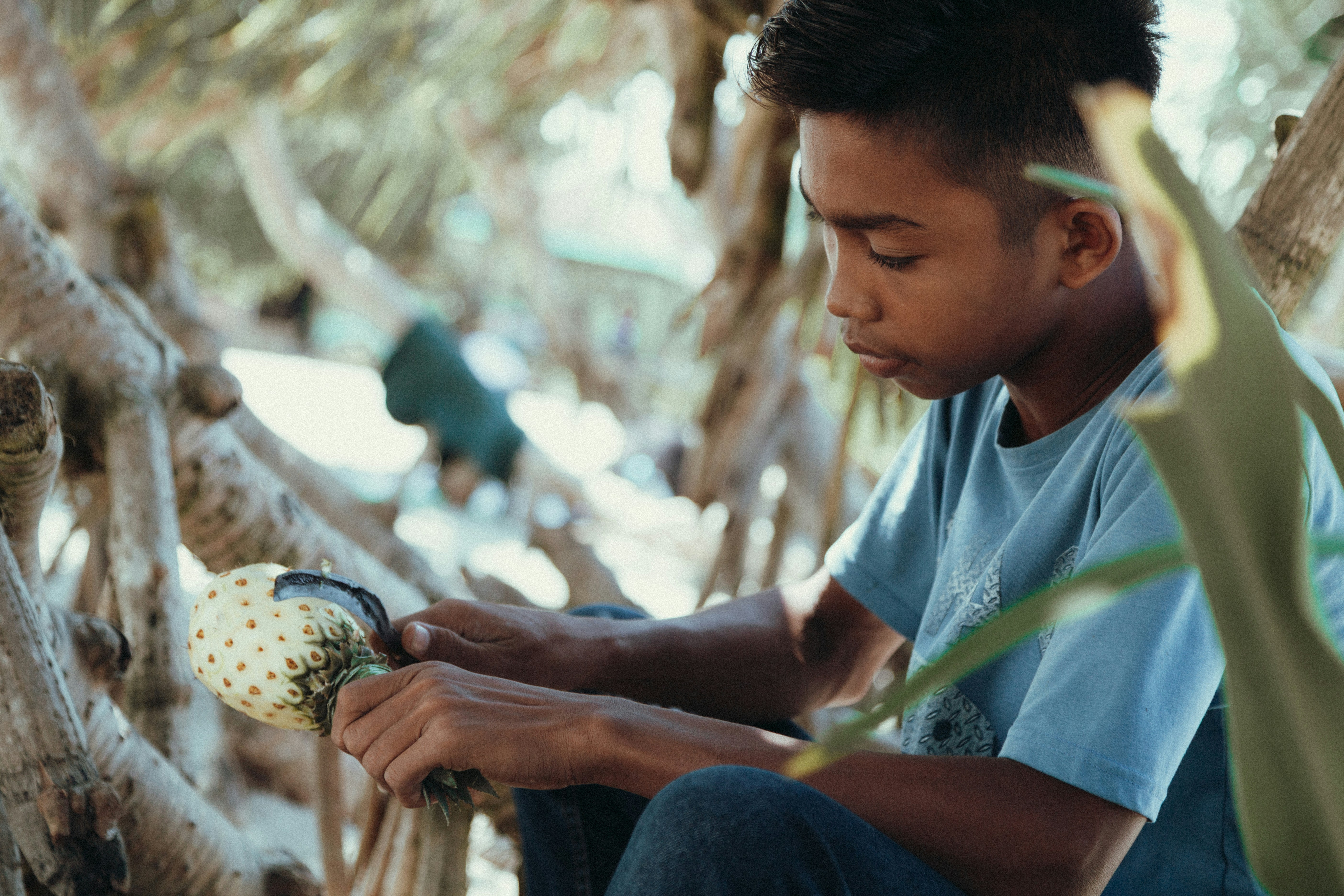 Hands at Work: a boy examines a woven shell in a sunlit grove