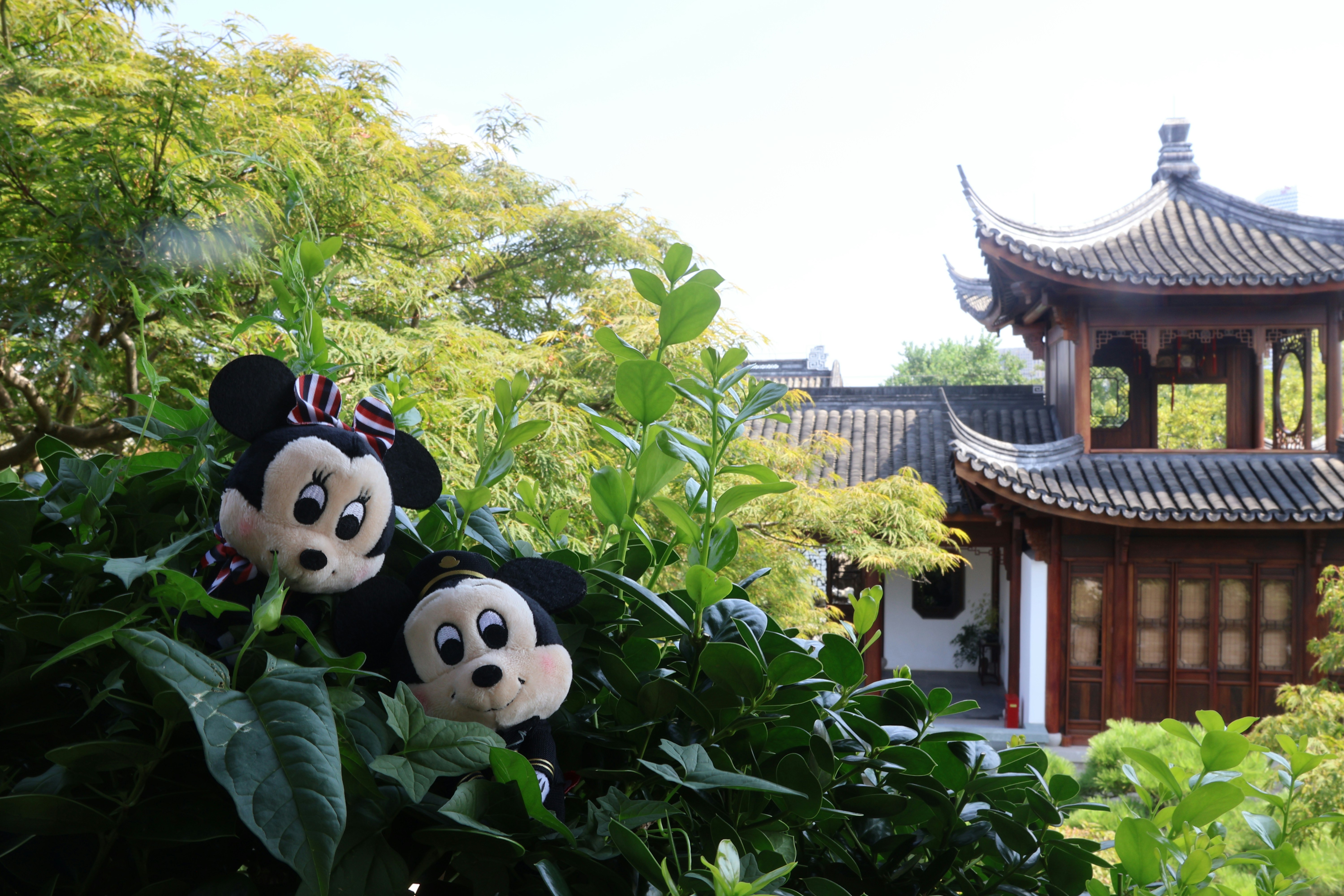 Mickey and Minnie in the Garden Temple
