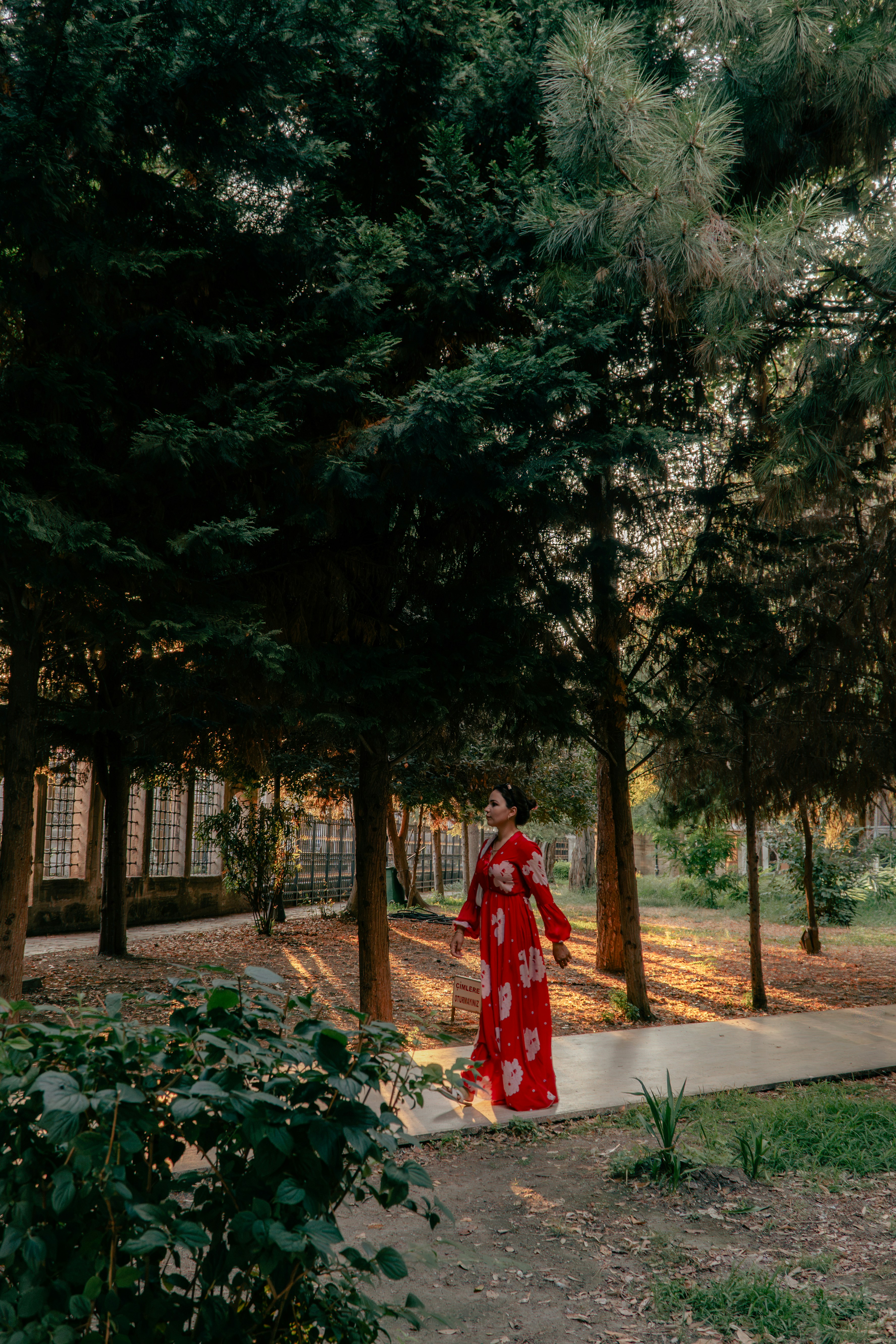 Red Kimono Among Pines: A Quiet Moment in Autumn Light