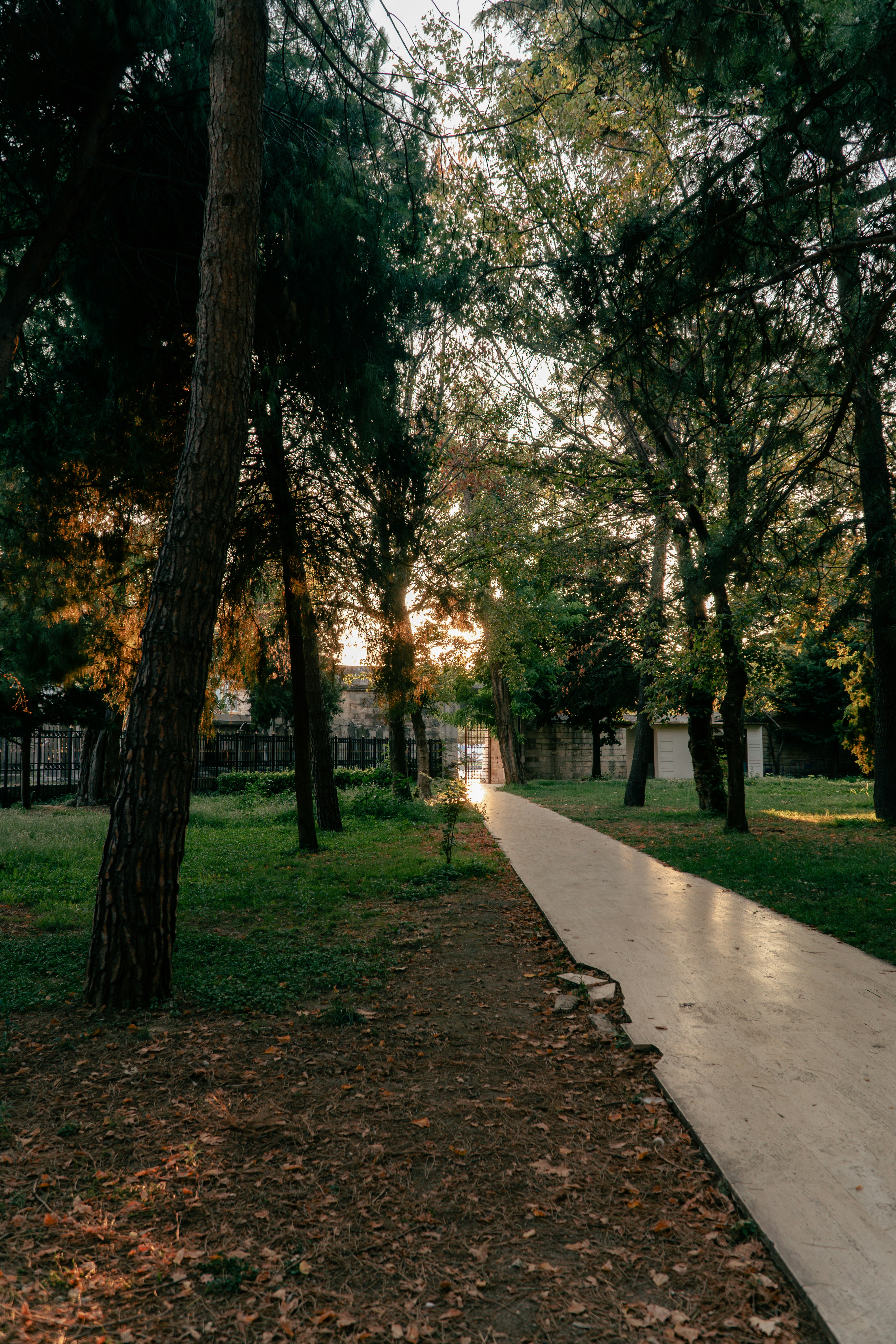 A sunlit park path winds through tall trees, leading toward an illuminated gate in the distance; the scene captures late-day warmth and tranquil atmosphere. This photograph depicts a natural environment with concrete walkway and surrounding greenery.