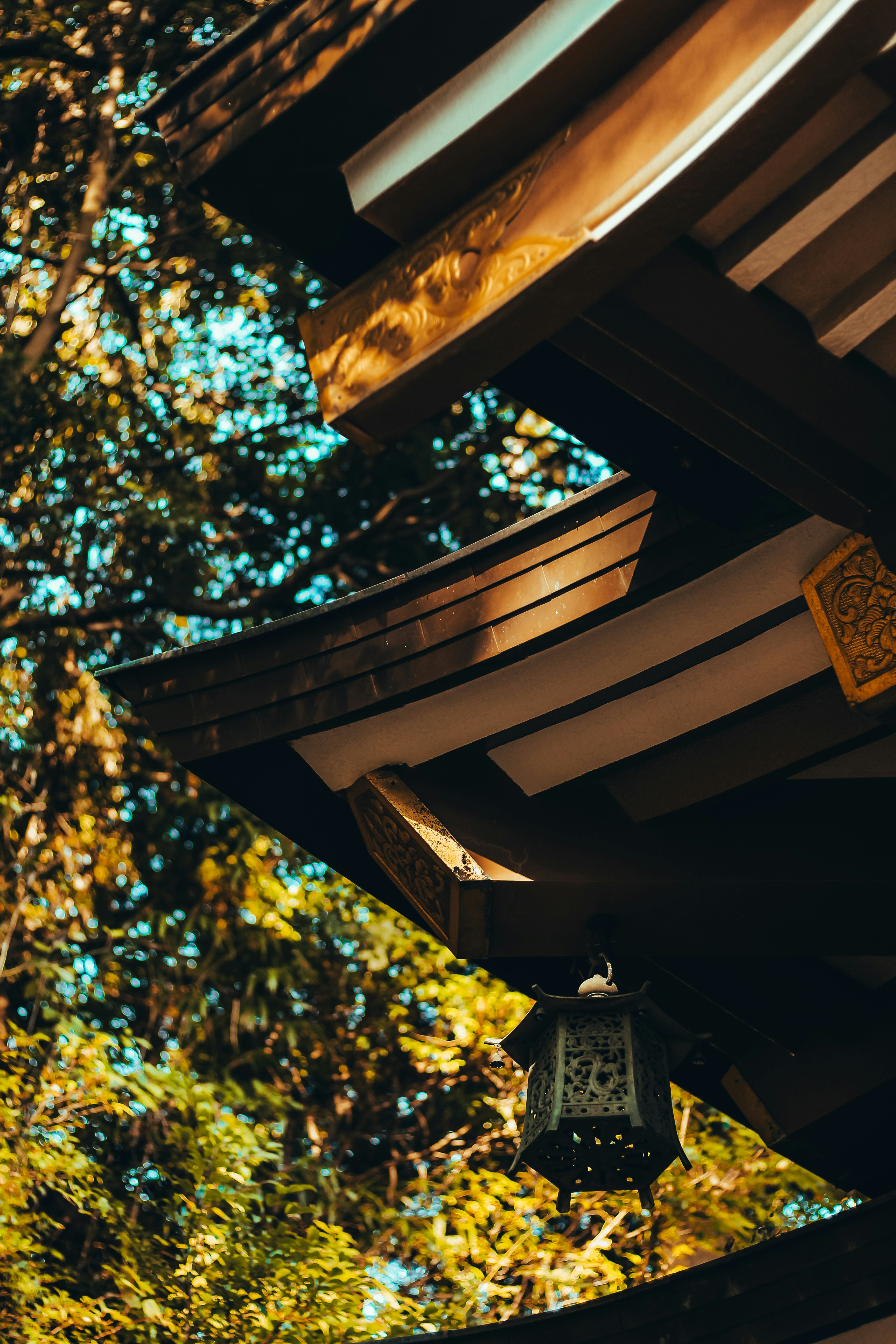 Temple Eaves and Lanterns: A Moment Under the Roof’s Edge