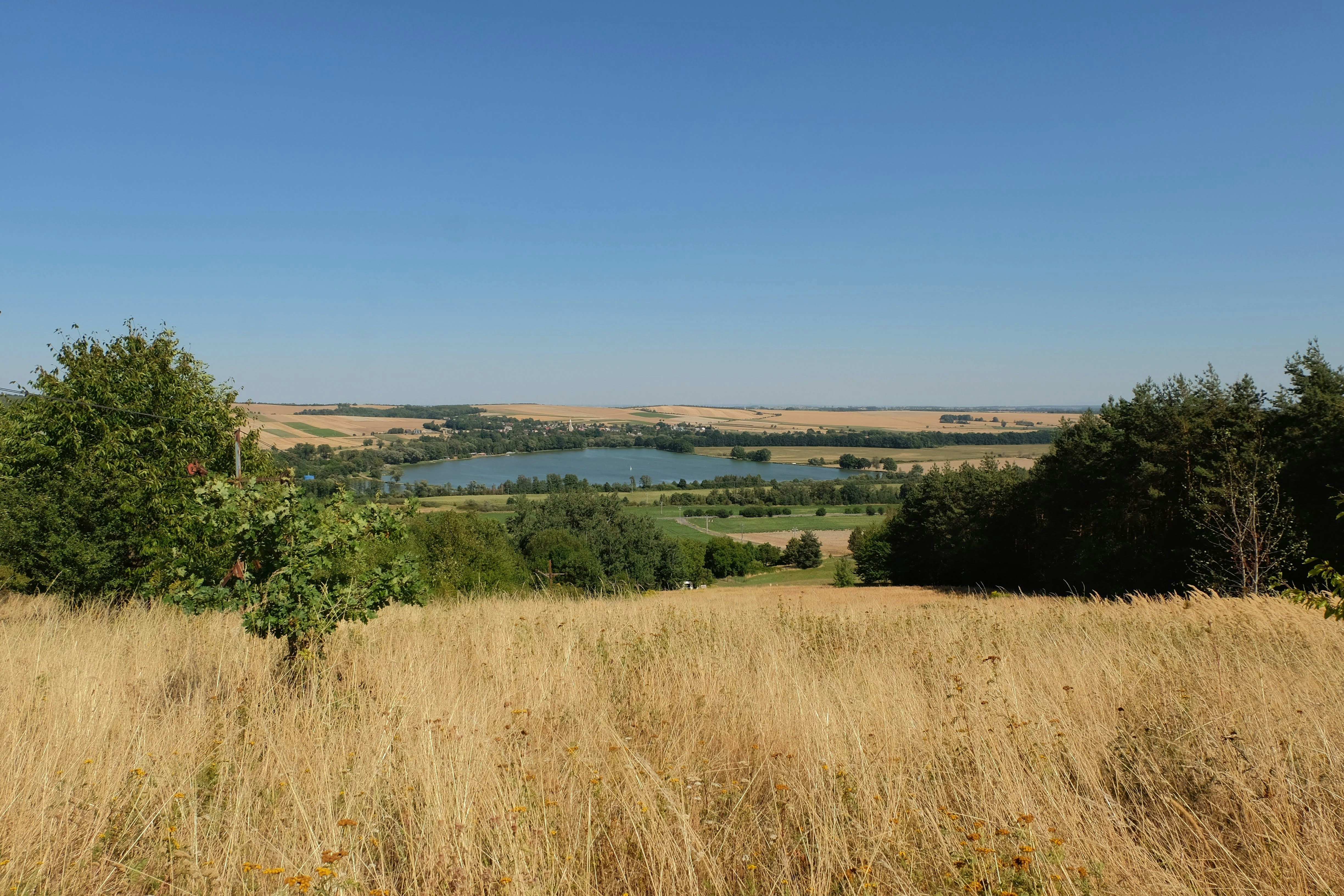 Golden Ridge Overlooking a Serene Reservoir