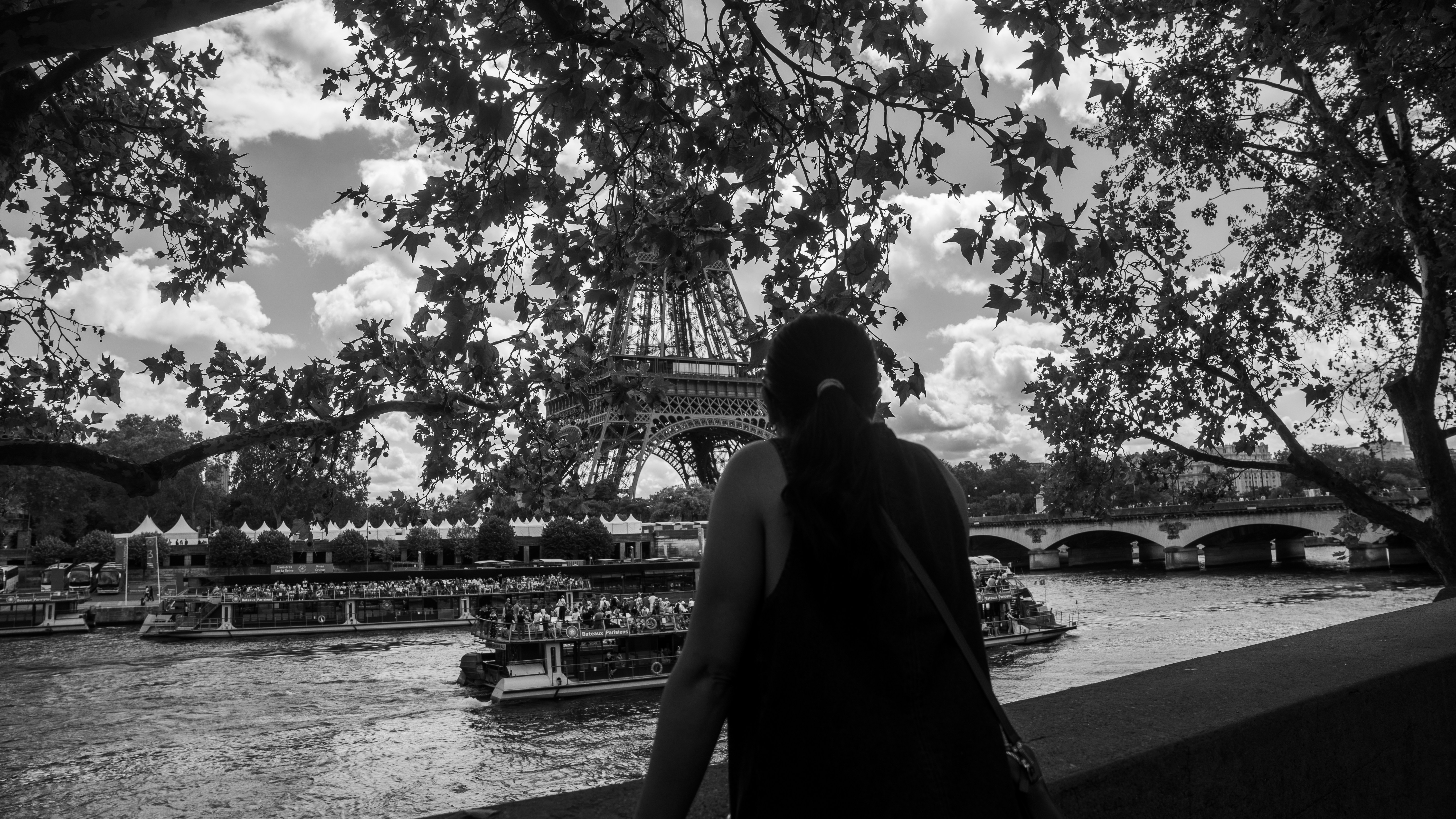 Silhouette on the Seine: A Quiet Gaze Toward the Eiffel Tower