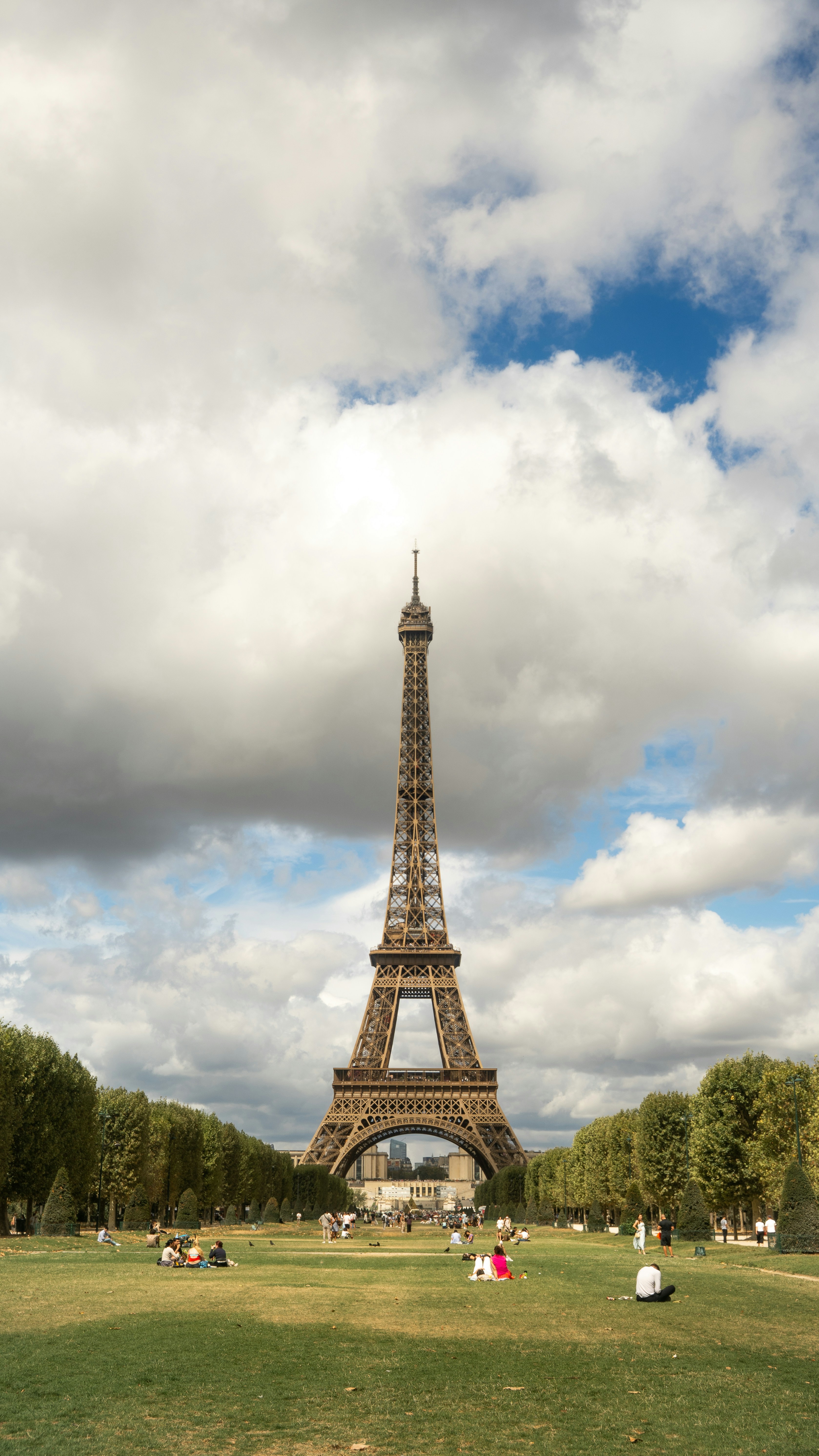Parisian Sentinel: The Eiffel Tower Rising Over a Lush Park