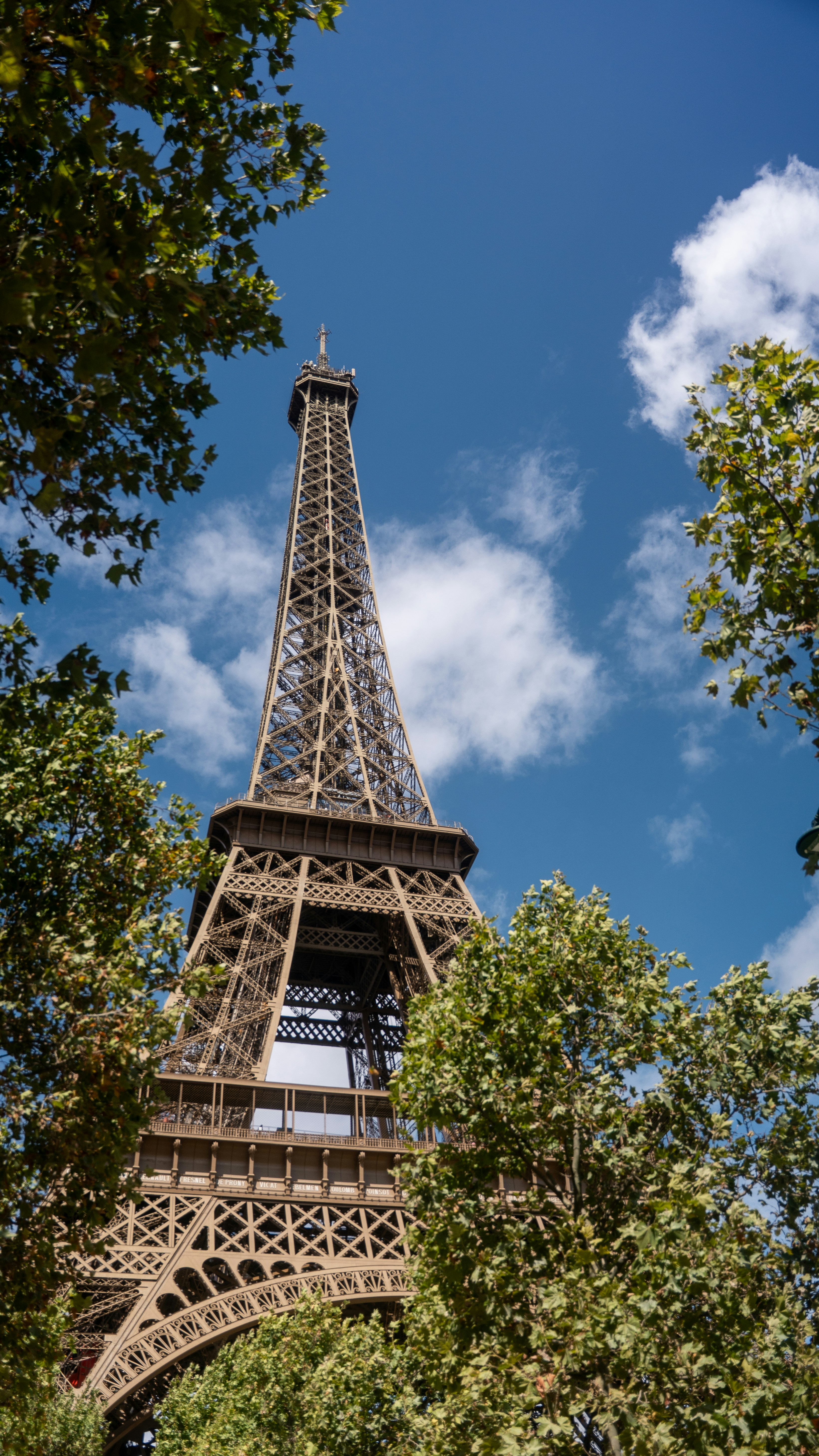 Iron Lattice in Open Sky: Eiffel Tower Peeking Through Green Canopy