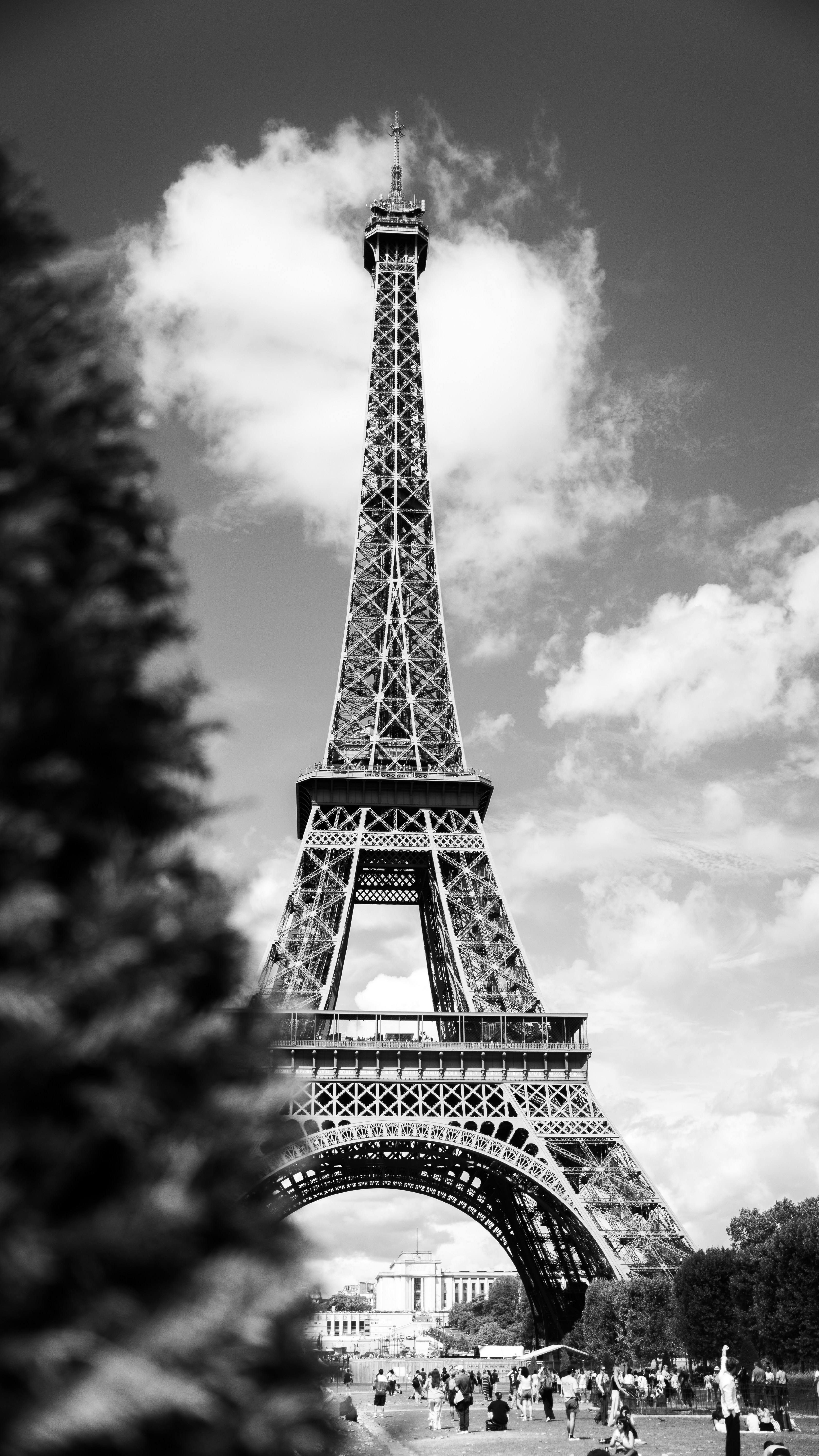 Parisian Icon Ascending: The Eiffel Tower in Monochrome