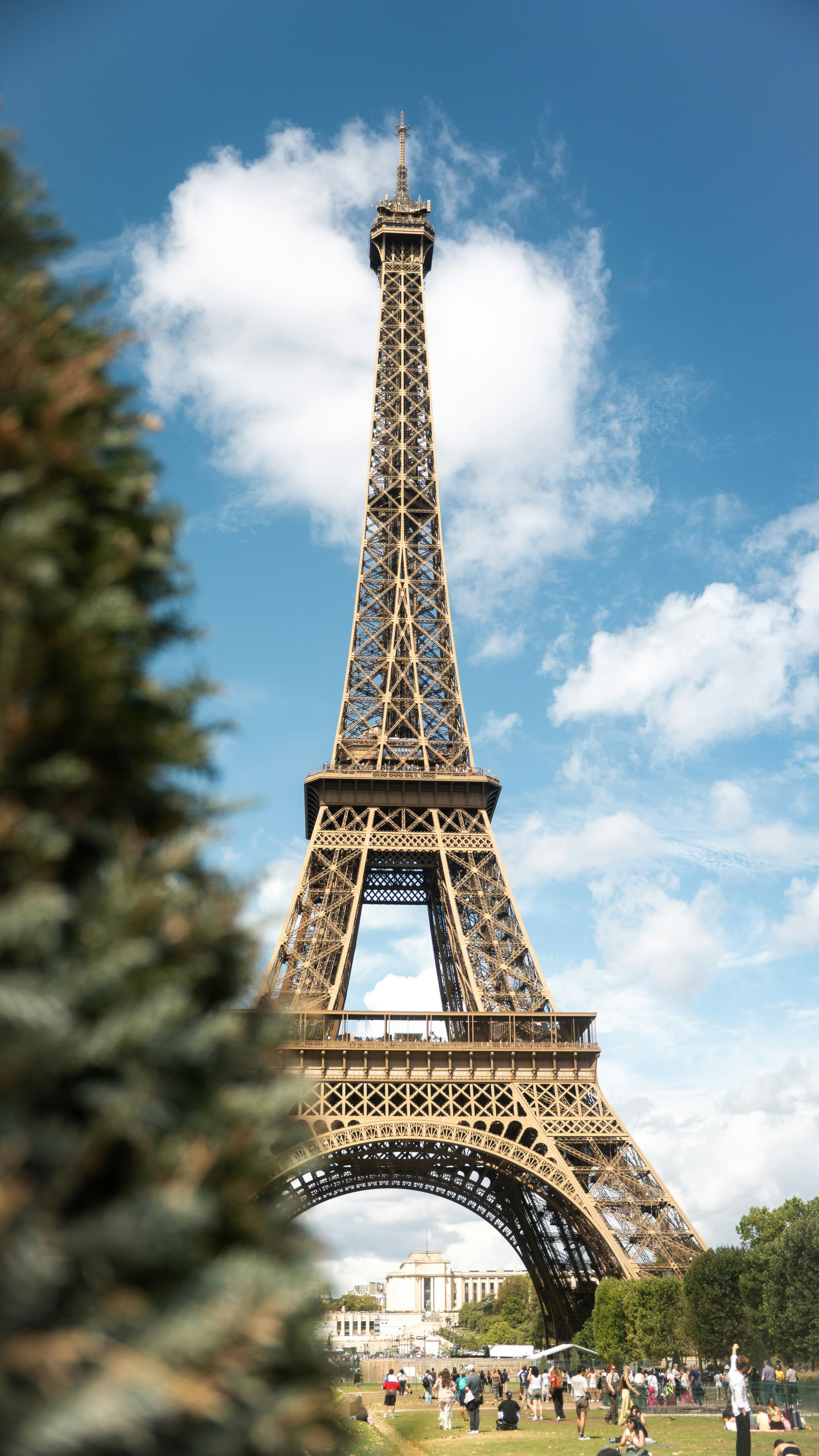 Eiffel Tower through a Lush Frame