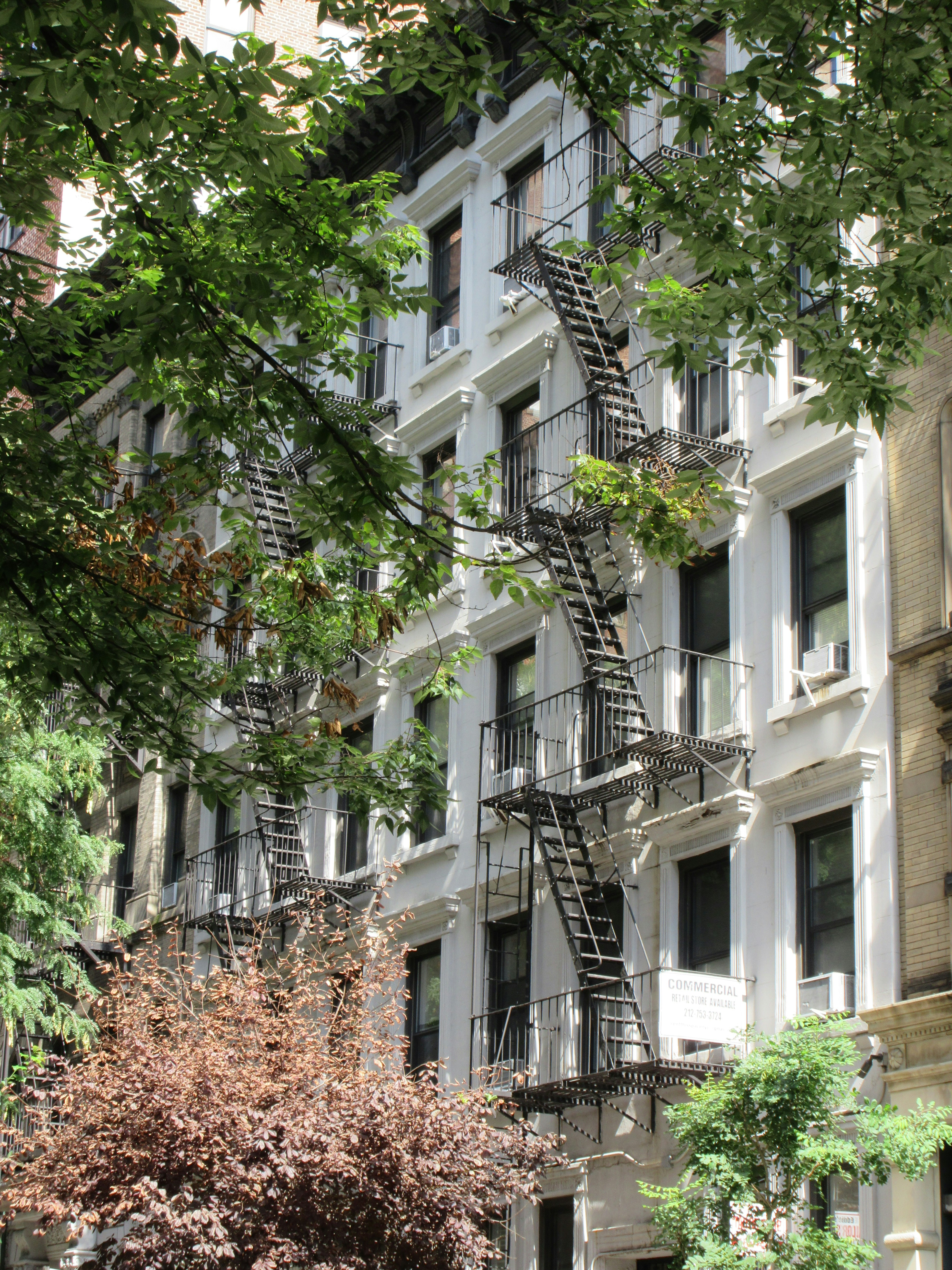 Fire escapes marching up a sunlit brownstone between green canopies