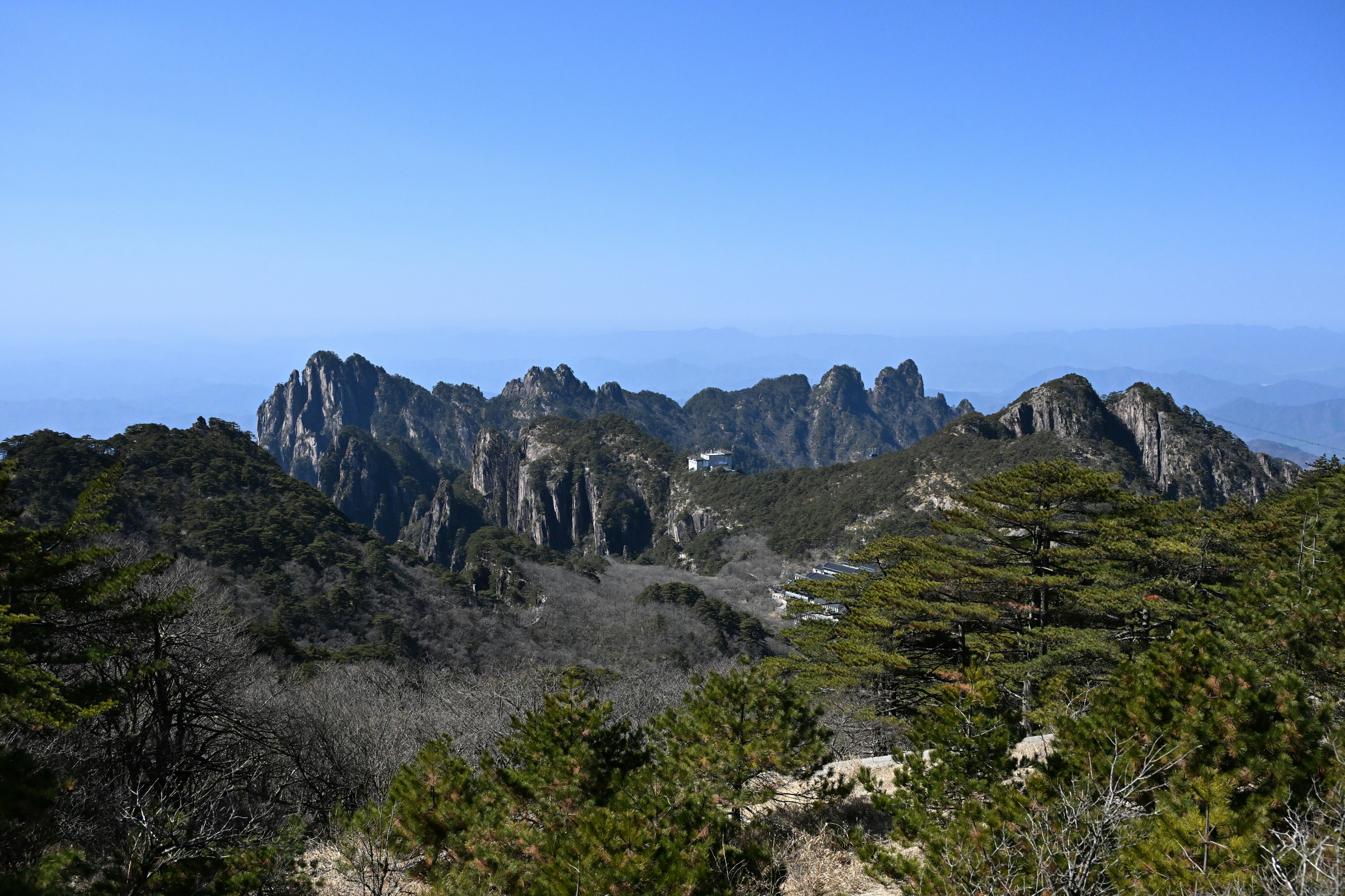 Ridgeline Sonata: Sunlit Peaks Amid Sparse Pines