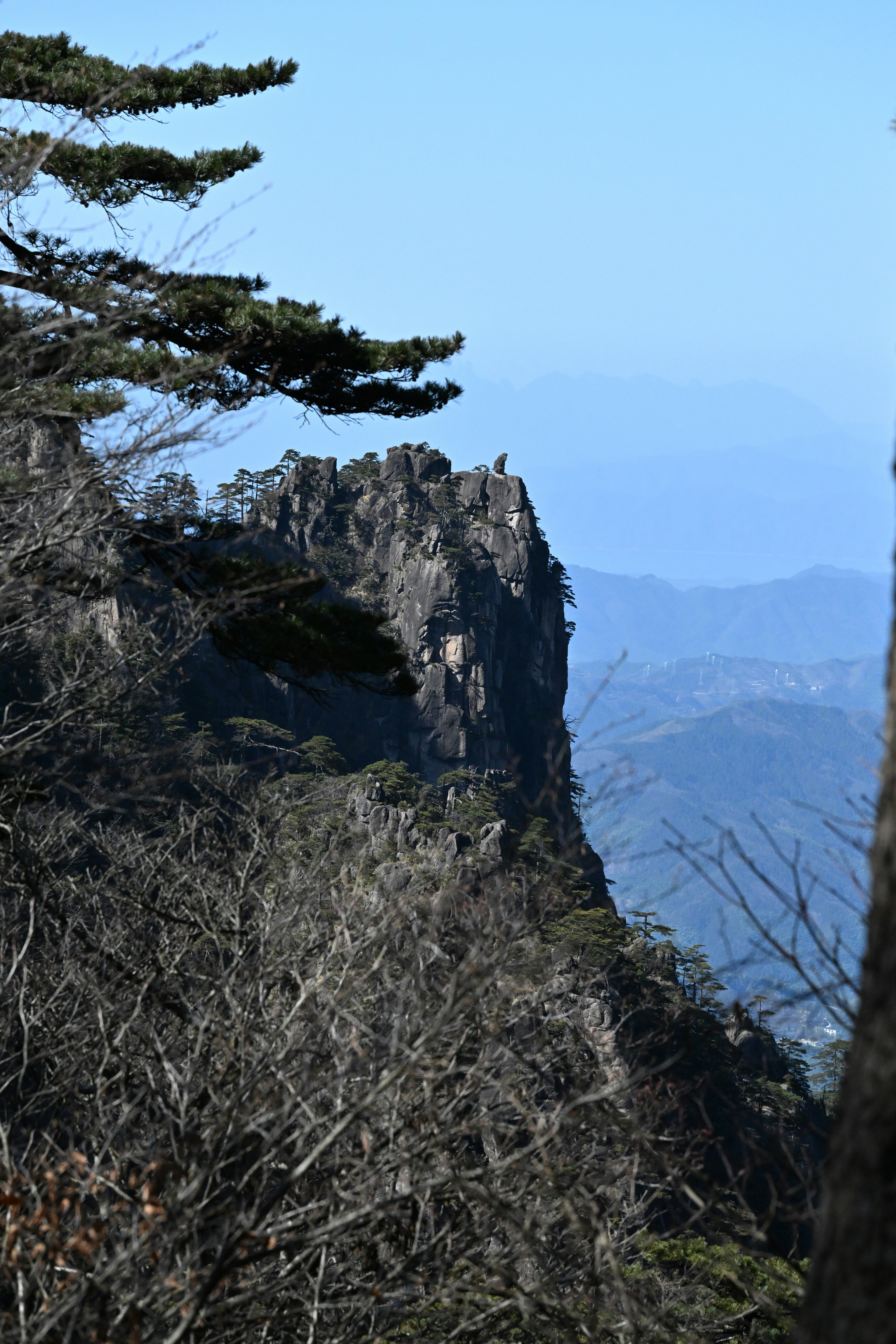 Bleeding Edge Ridge: solitary cliff crowned by windswept pines
