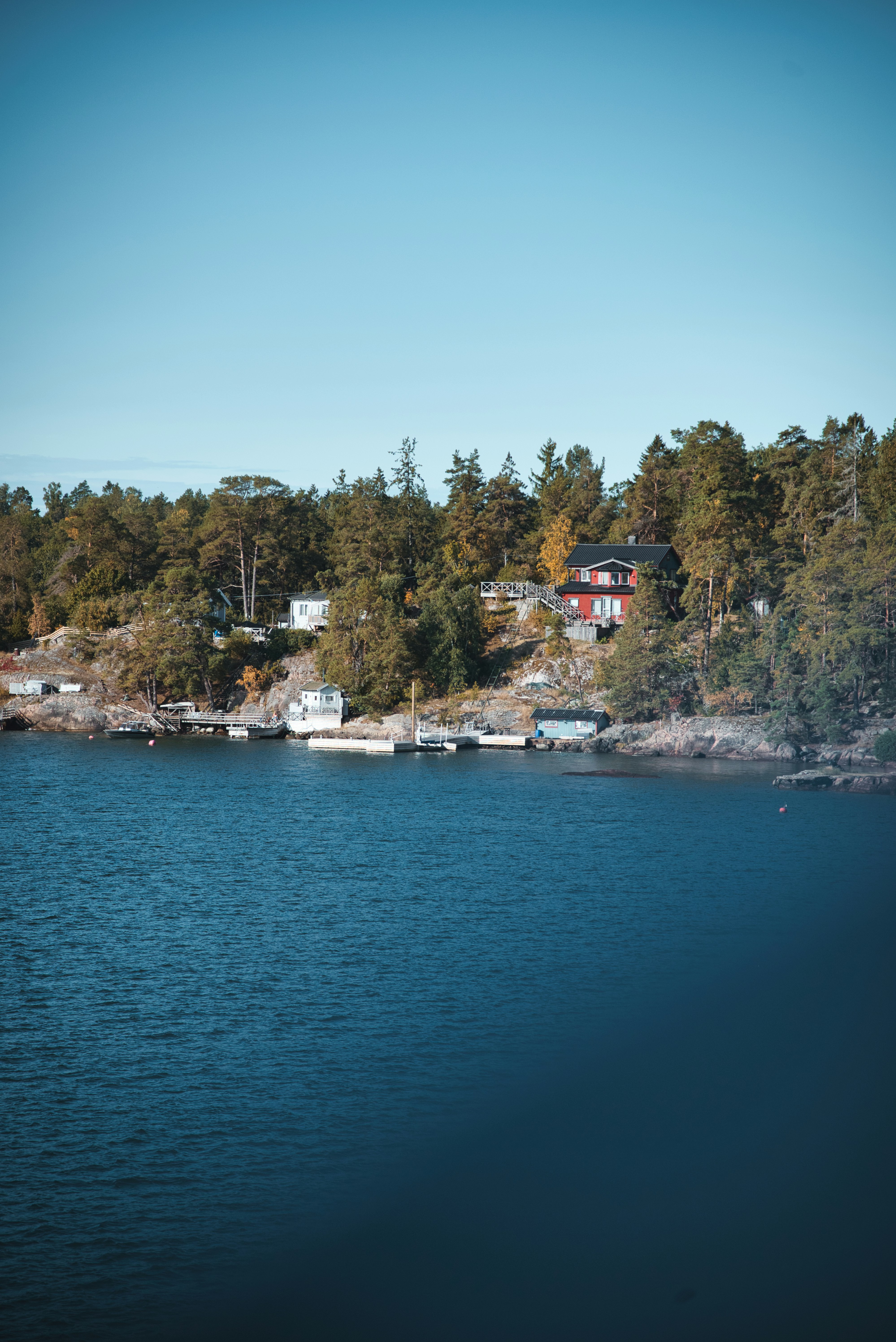 Coastal Cottages Fringed by Pines