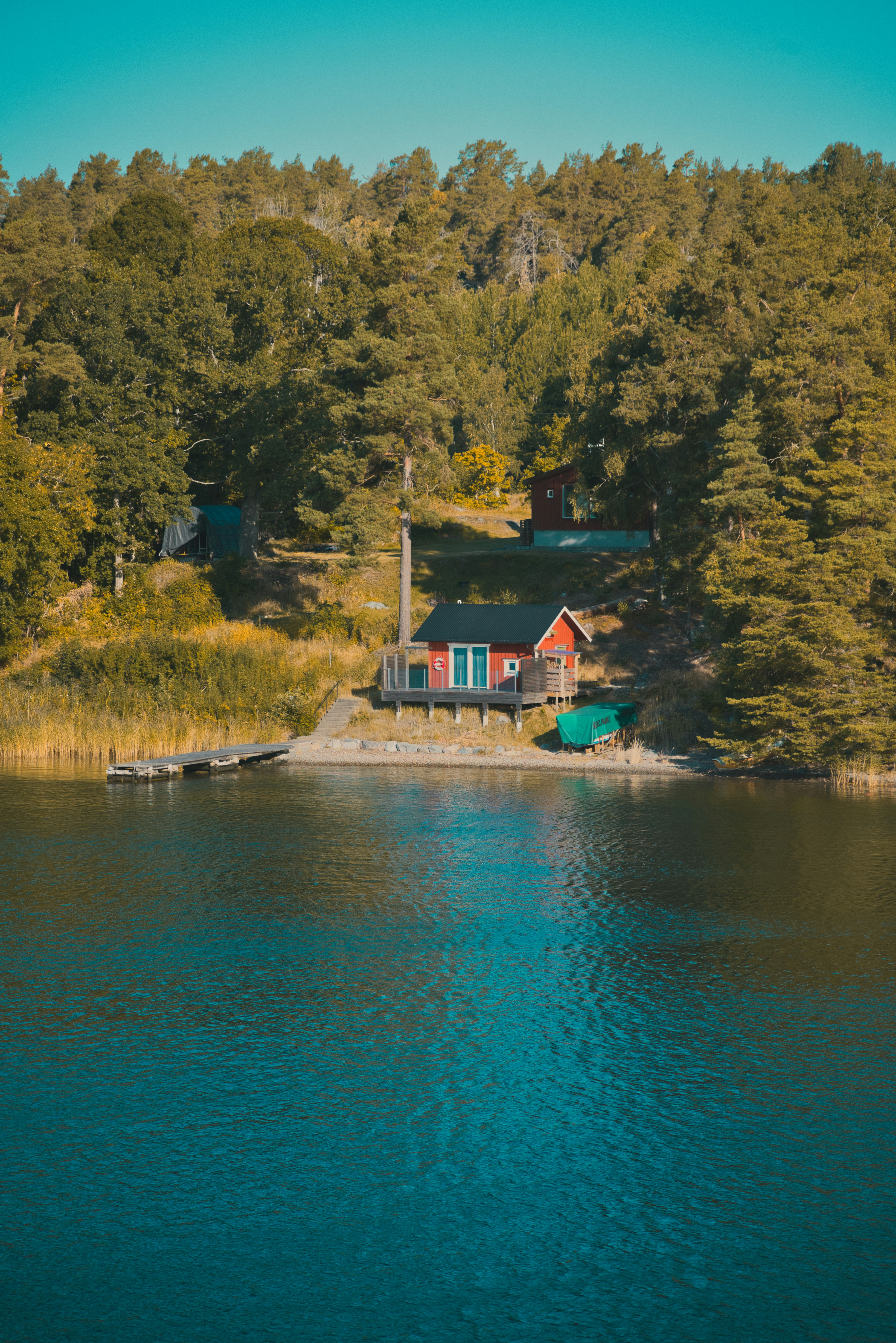 Red Boathouse by the Pine Shore