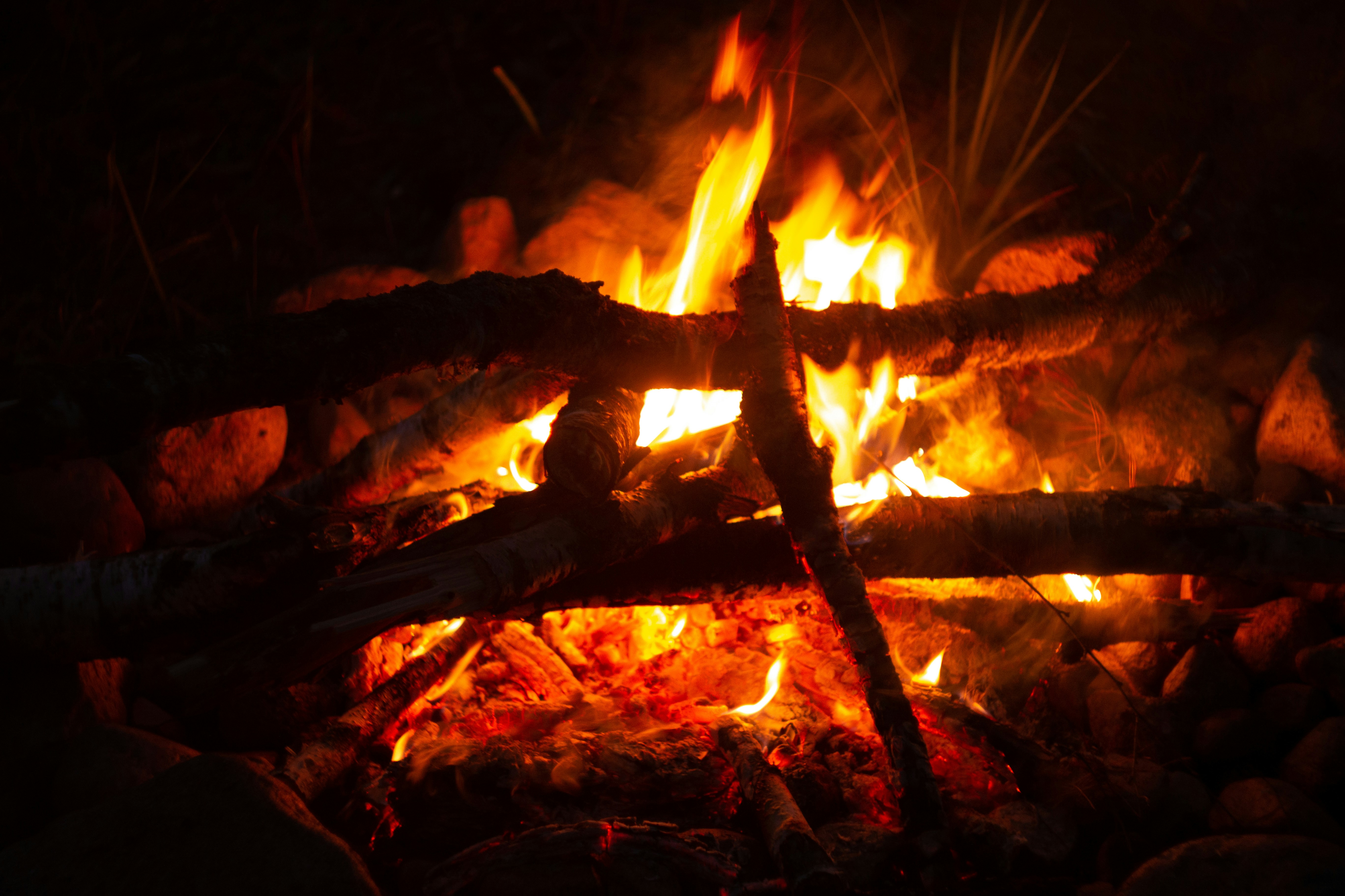 Embers and Logs: Night Campfire Portrait