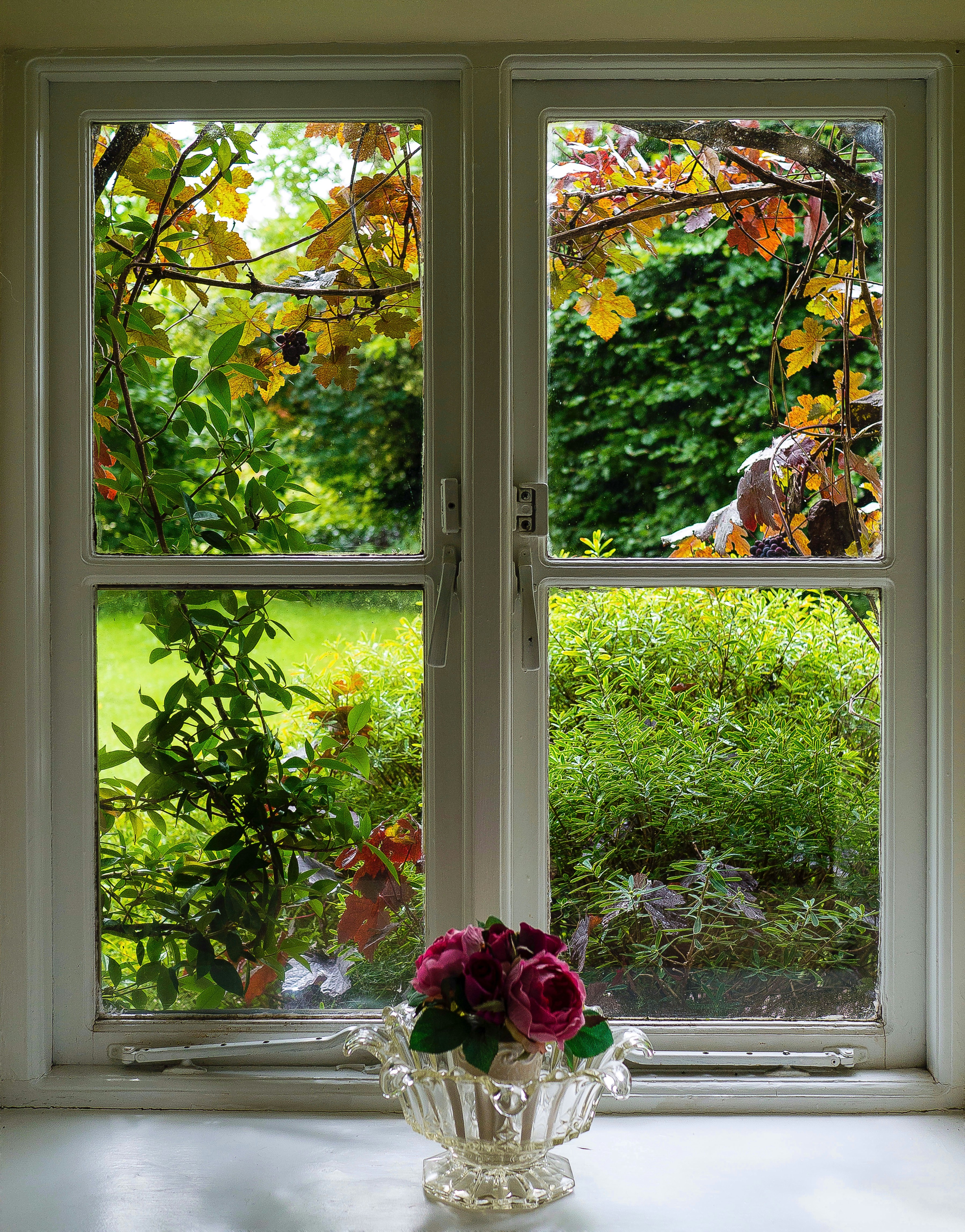 A crystal vase with pink roses sits on a white windowsill, framed by a two-pane window showing lush green and autumnal foliage outside.