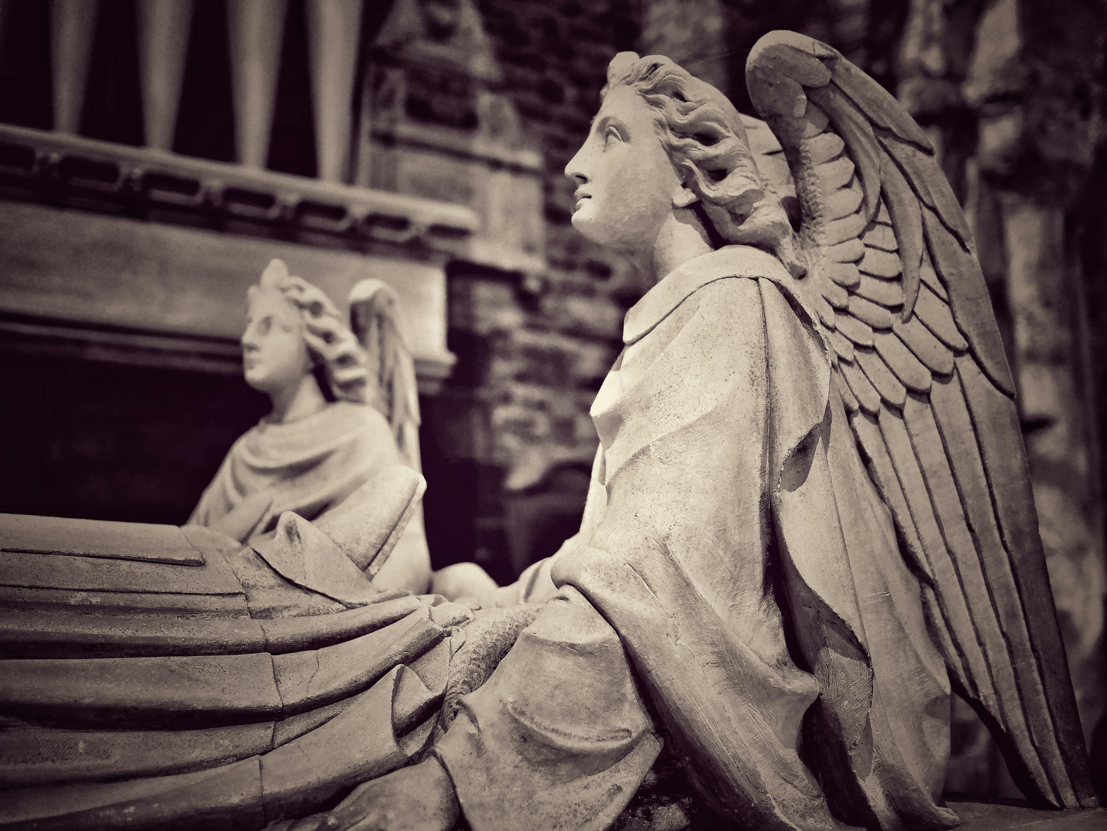 Angels of Stone: Quiet Vigil by the Cathedral Steps