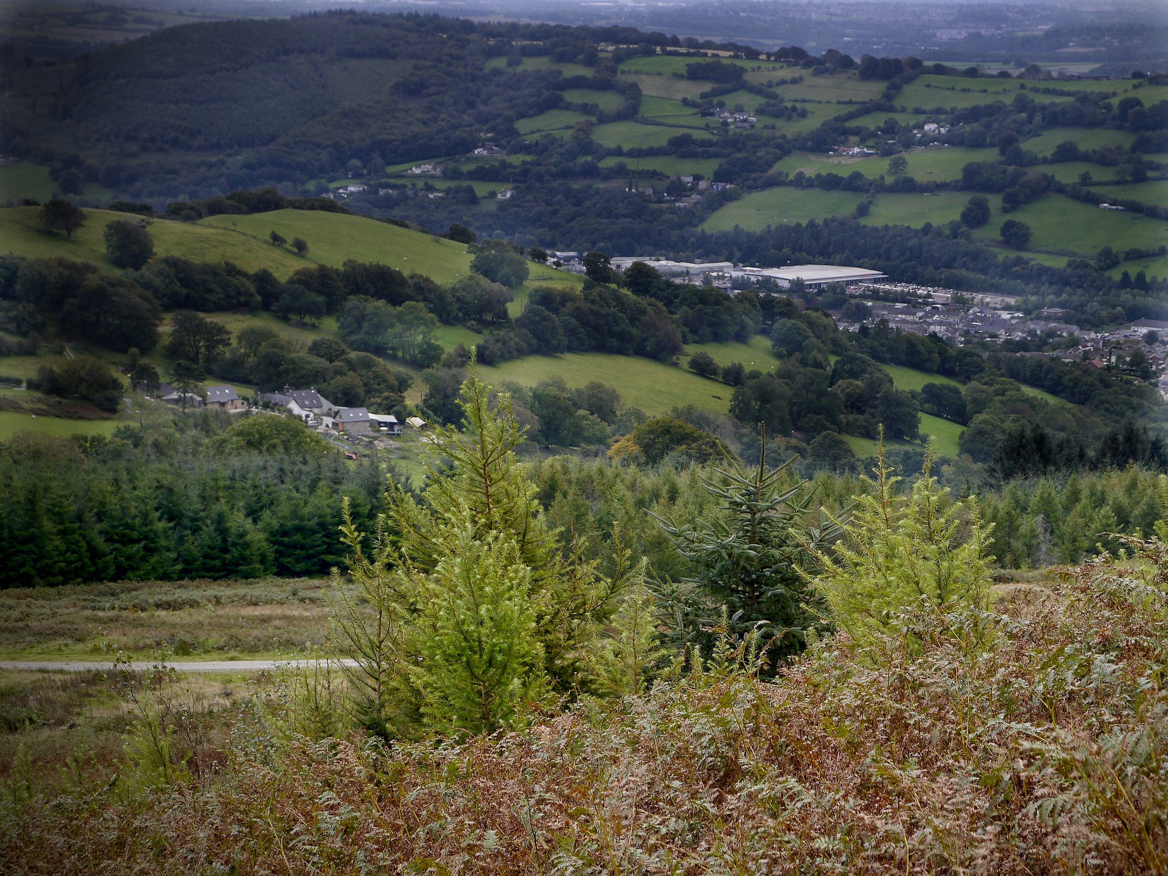 Verdant hillside landscape with patchwork fields, distant village, and evergreen foreground.