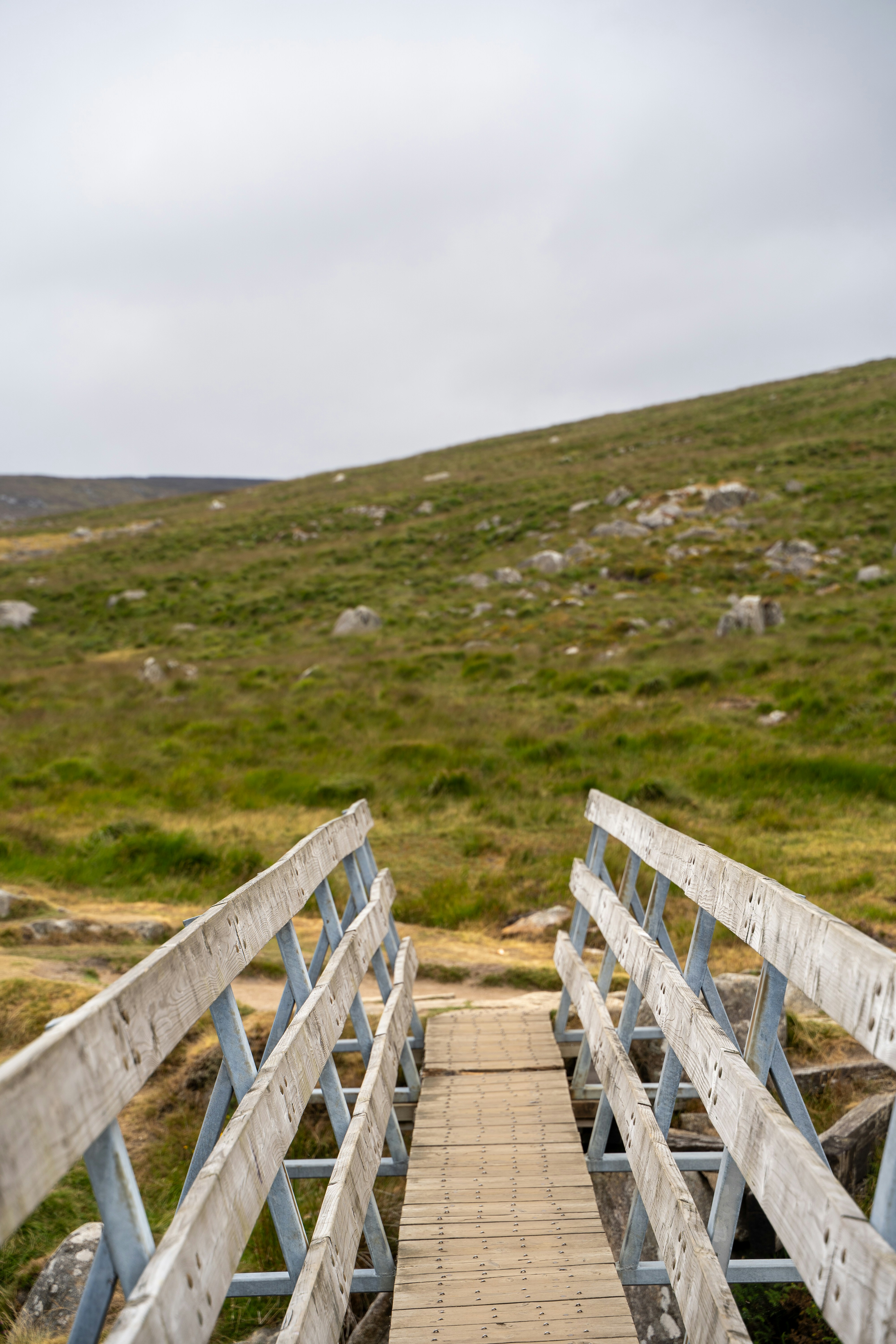 Footbridge to the Open Moor