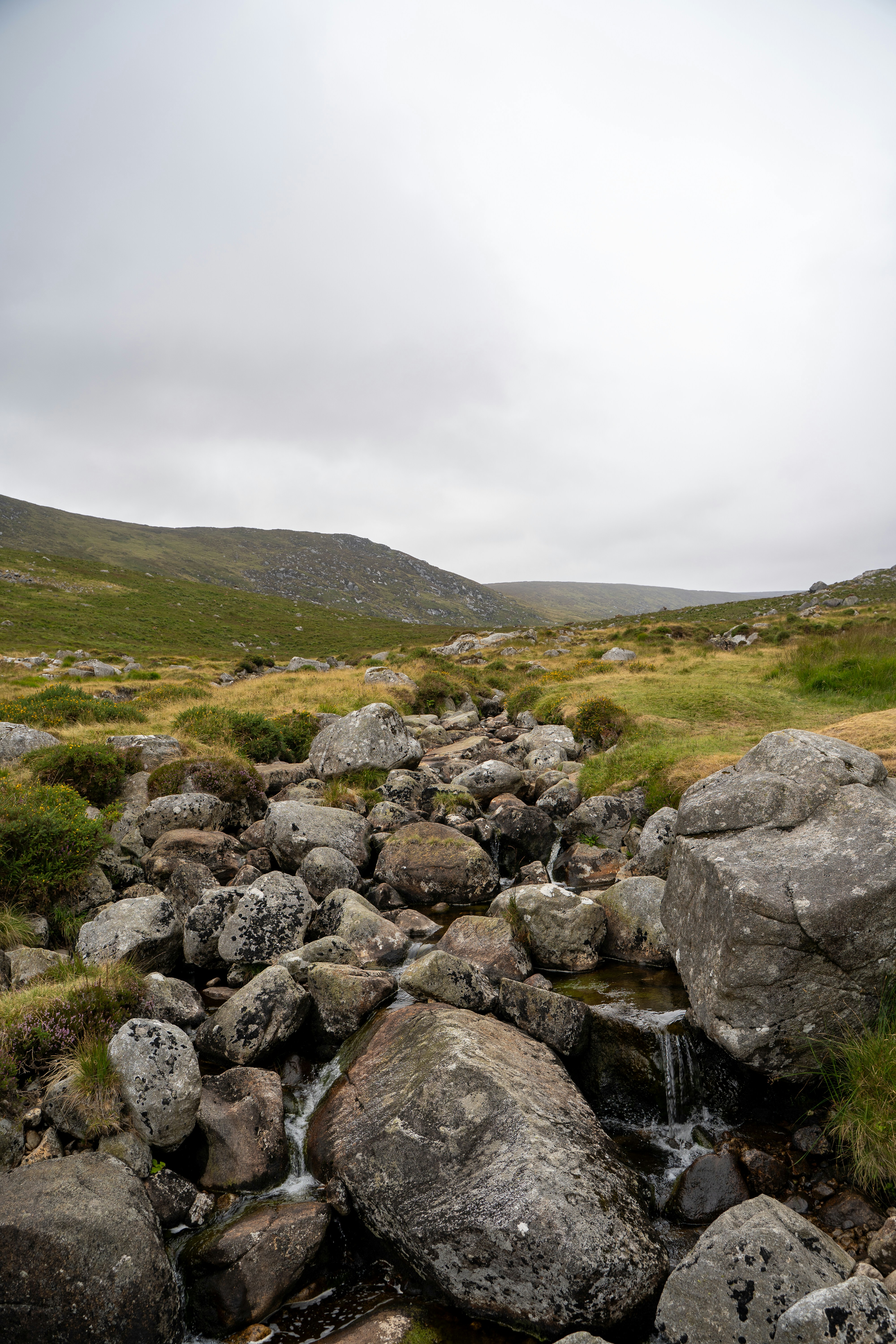 Stone River in the Quiet Moor
