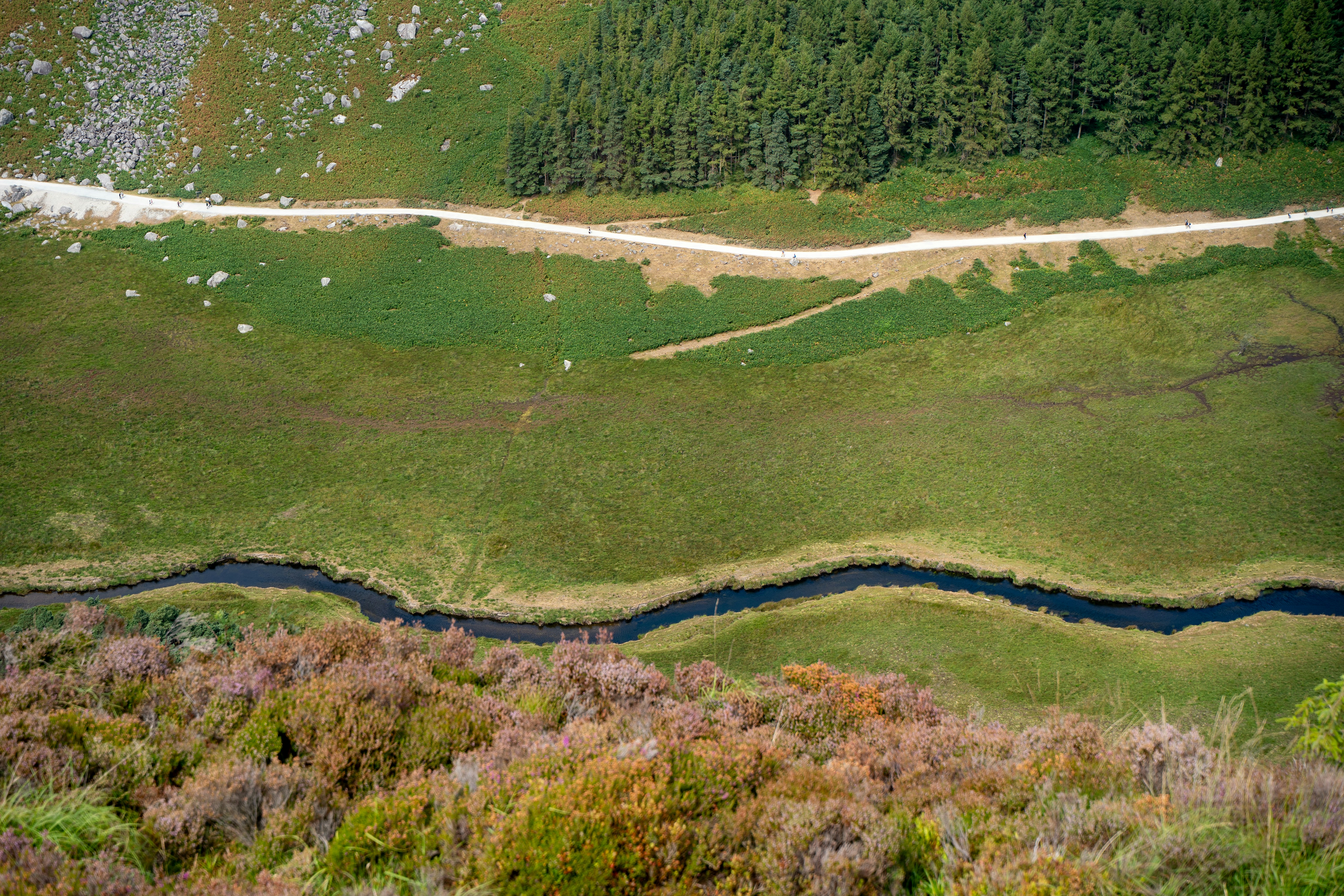 Meandering River Through Open Moorland