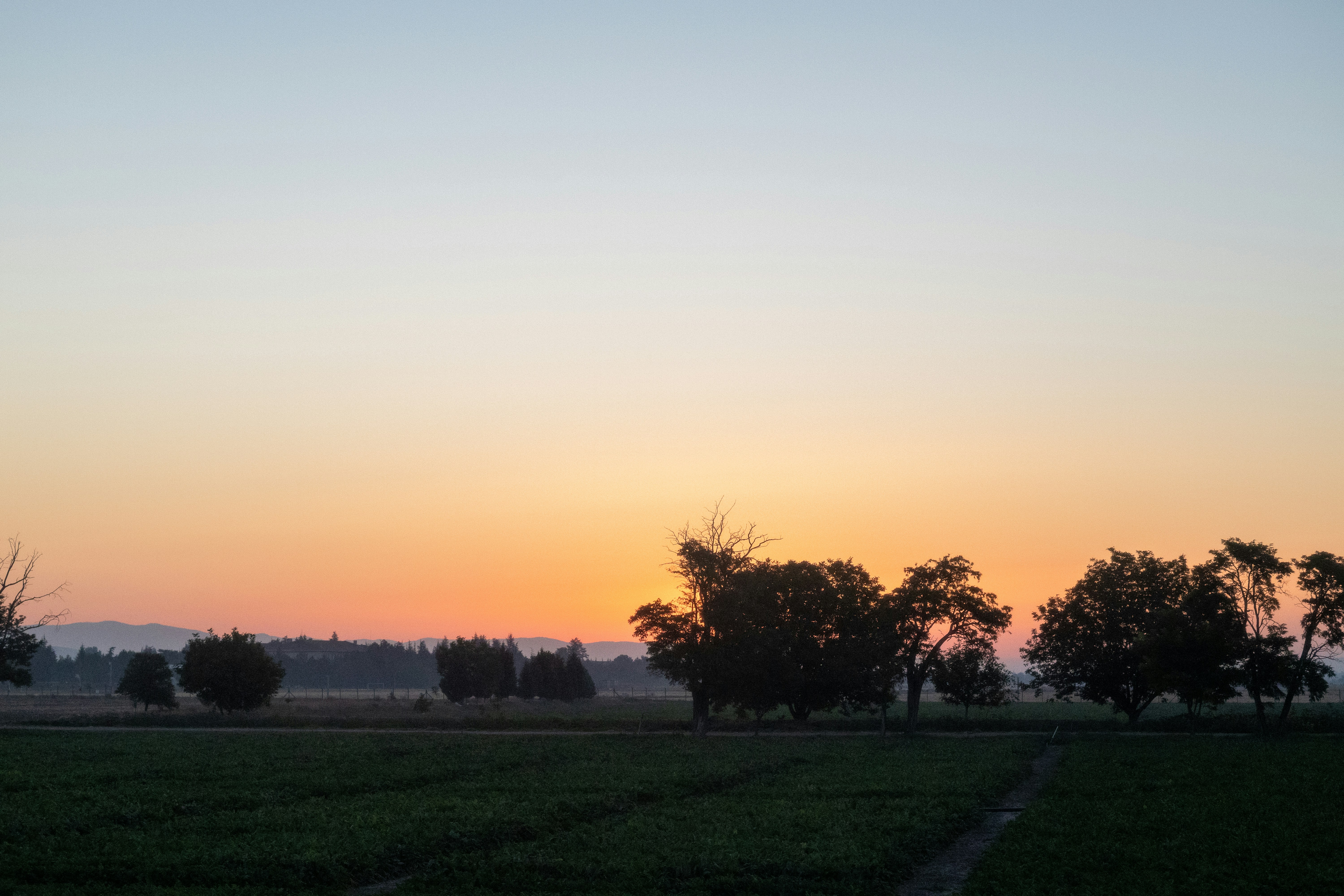 Low Sun, Long Shadows: A Quiet Rural Horizon